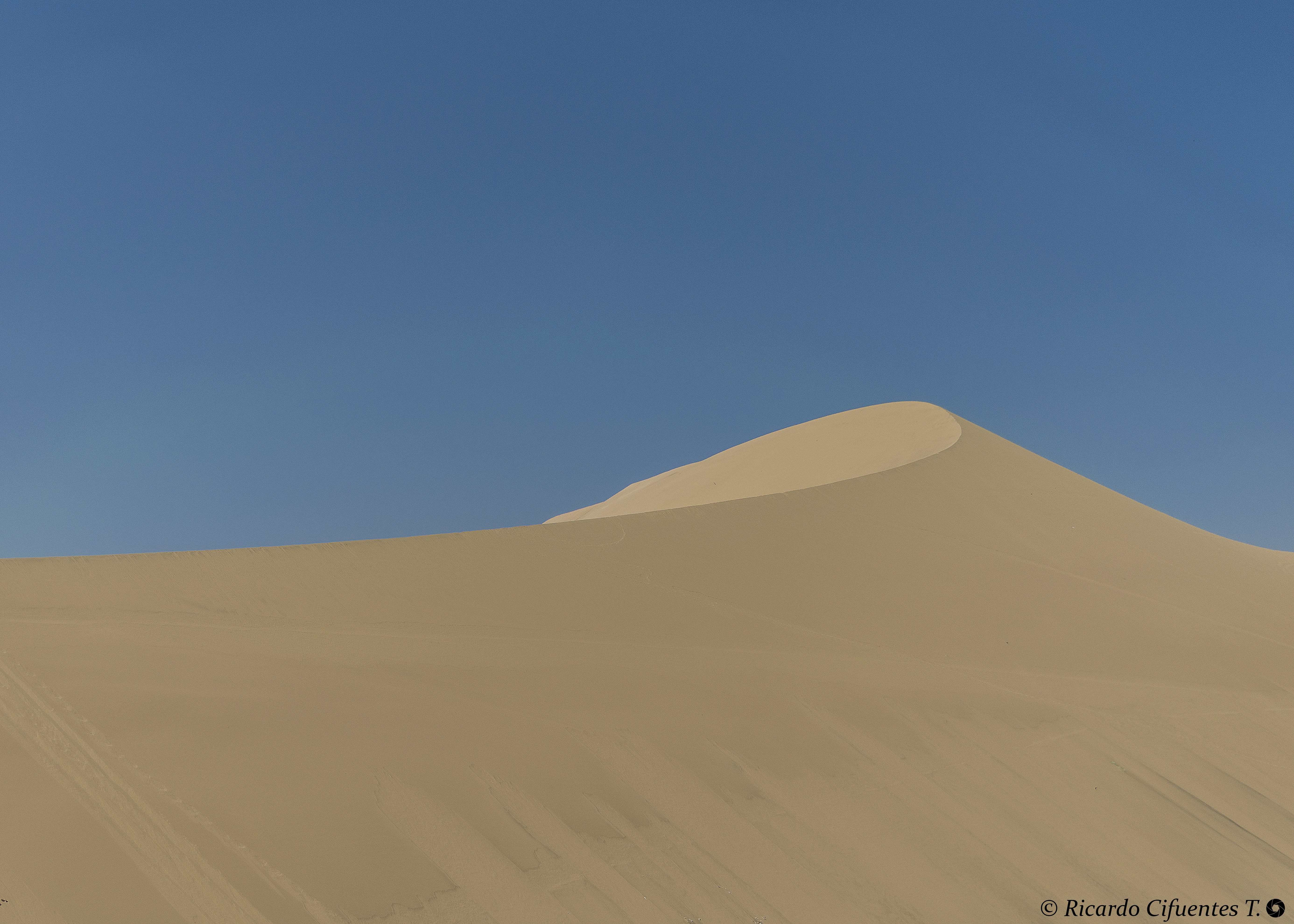 Dune Crown Under a Clear Sky