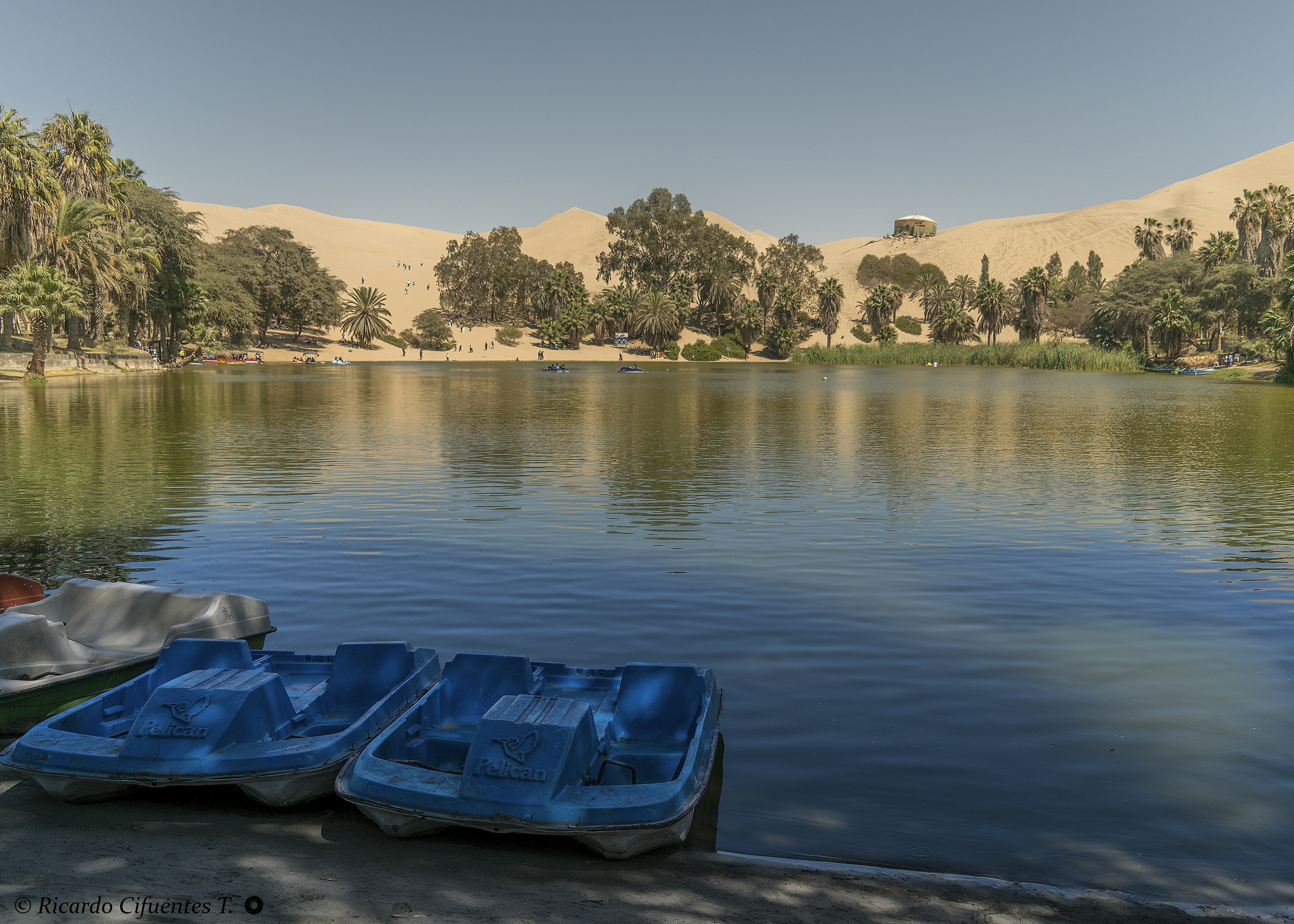 Blue Paddle Boats by the Sand-Dusted Lake