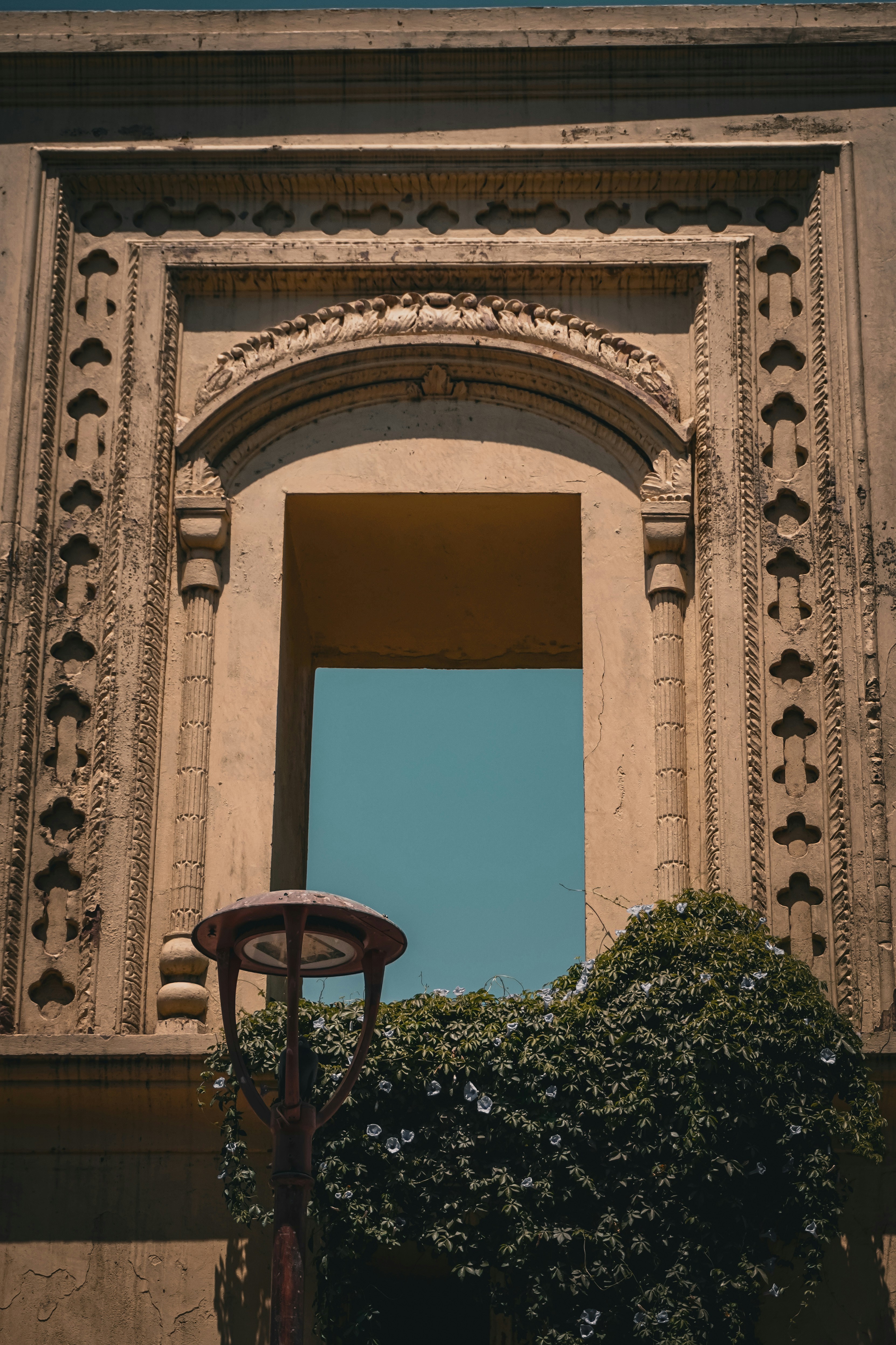 Architectural Window Portal Framed by Ivy and Scrollwork
