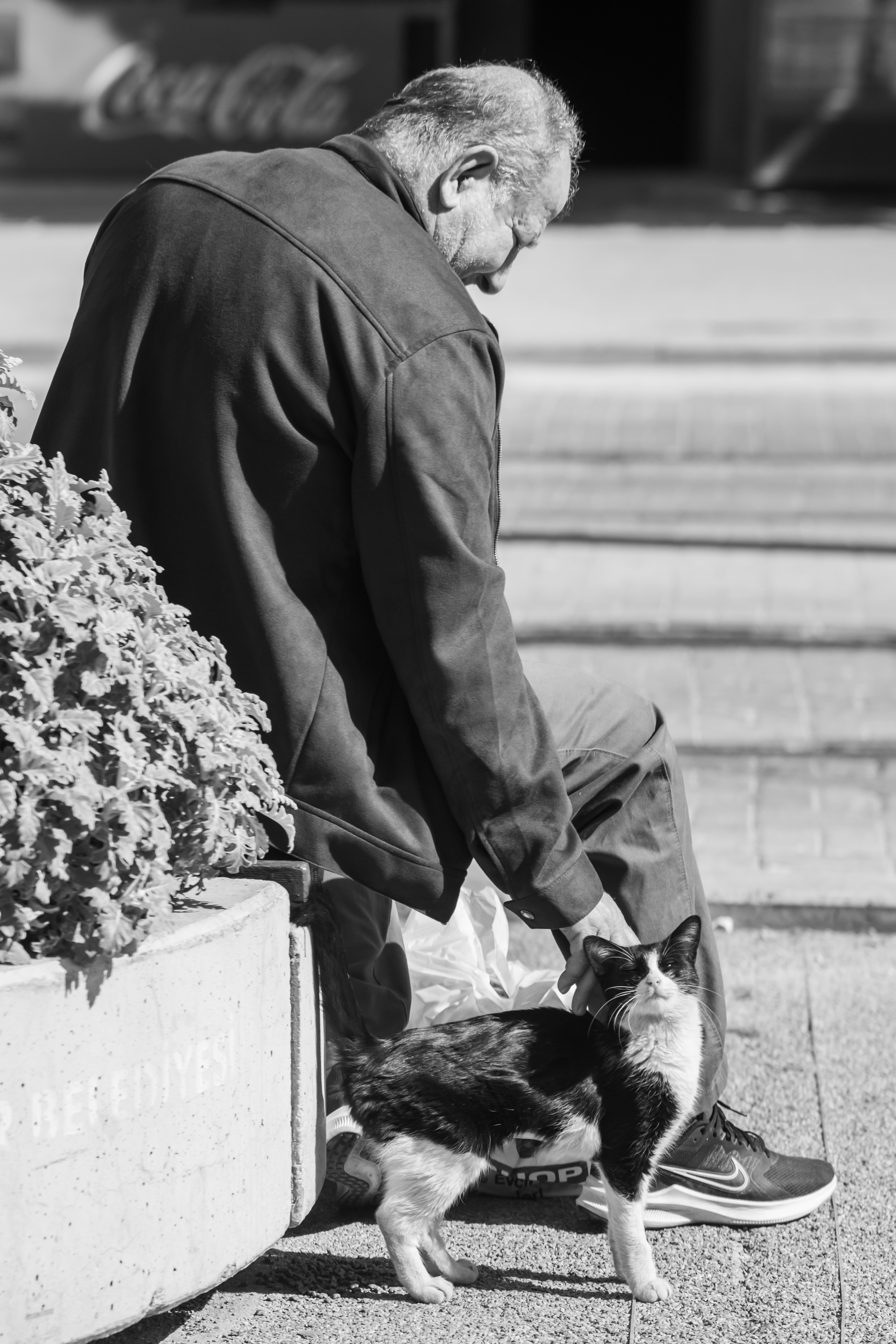 Quiet Exchange: An Old Man and a Cat in the City Light