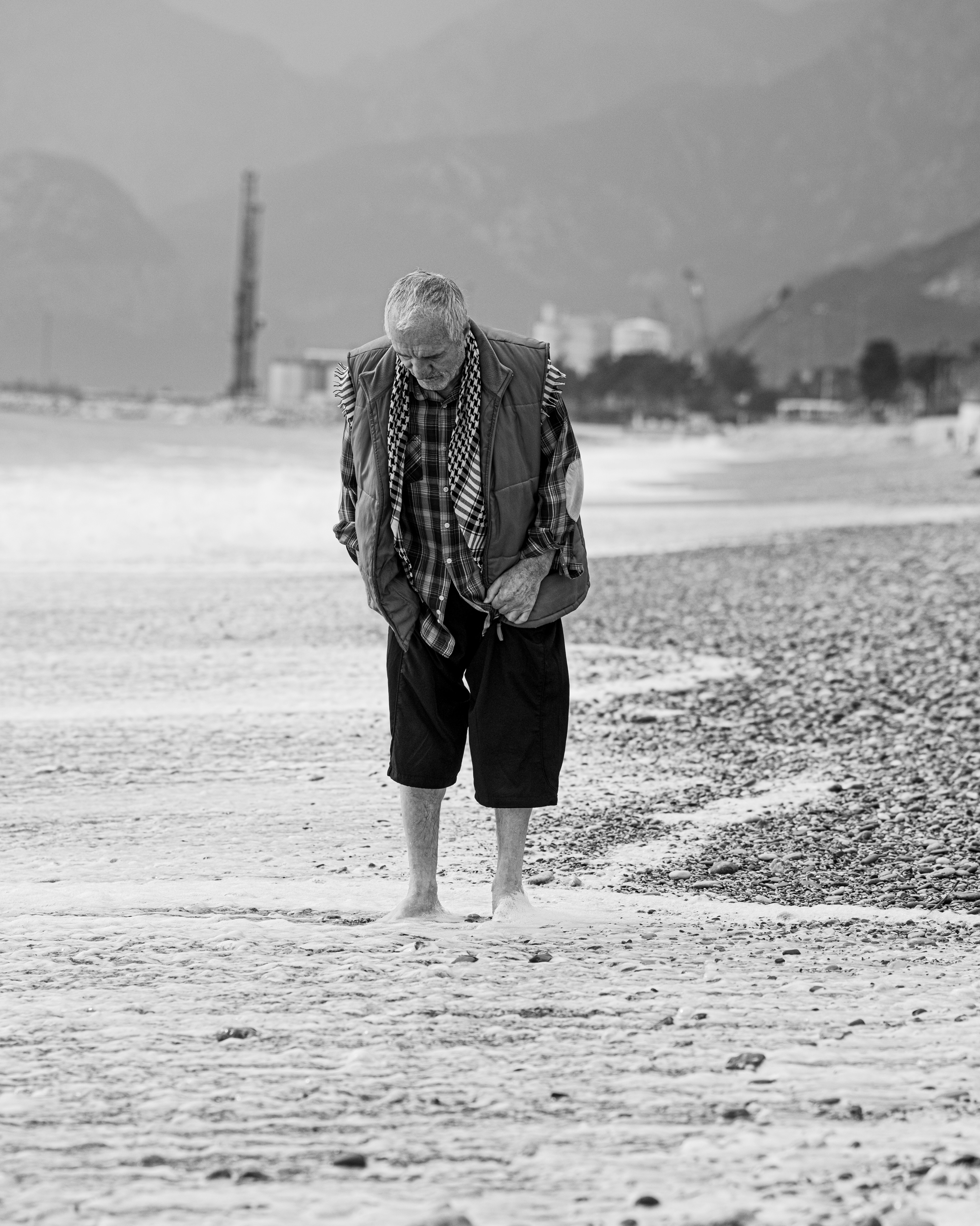 A Quiet Stride Along the Tidal Shore