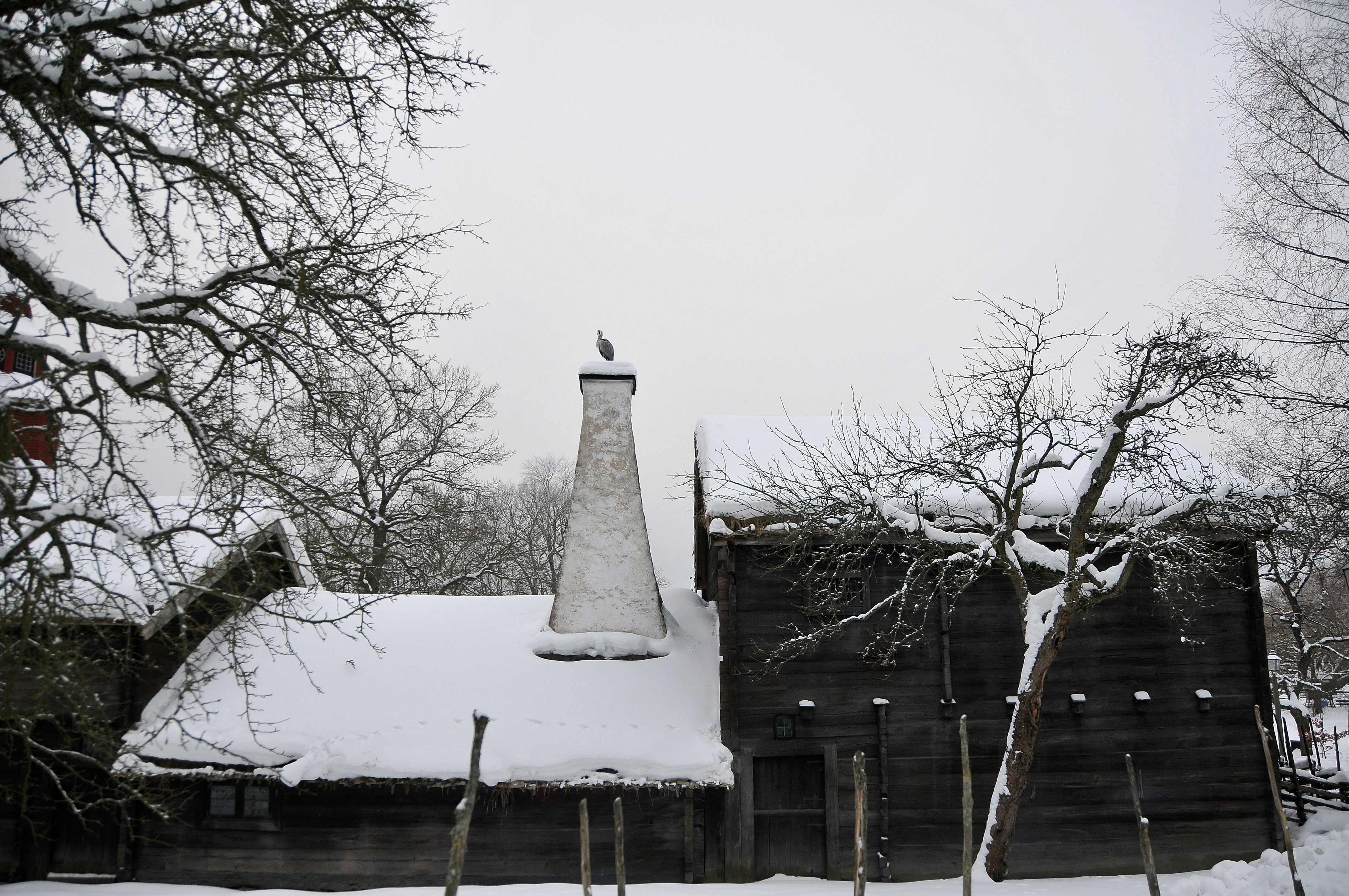 Snowbound Chimney and Weathered Cabin