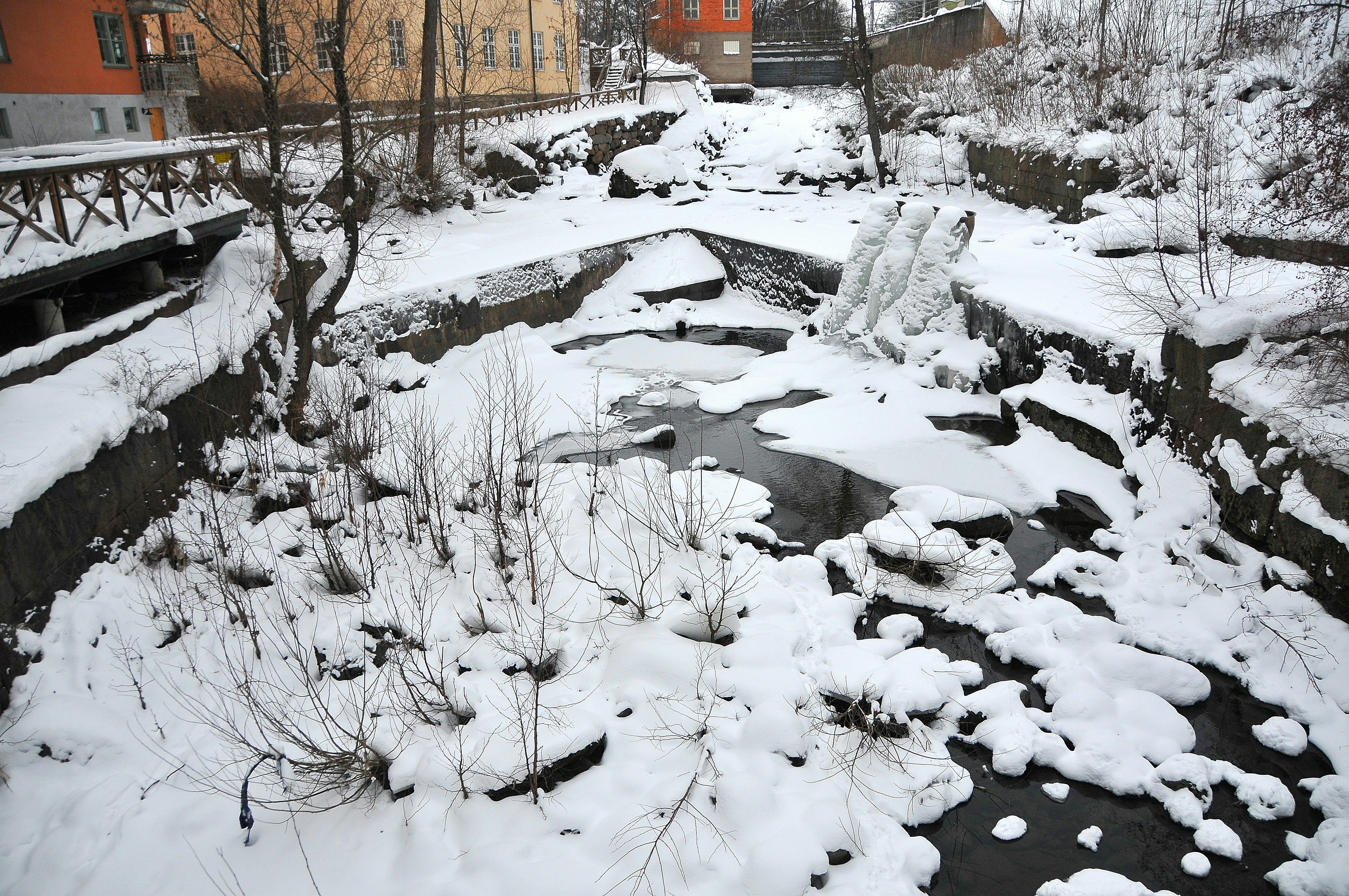 Snow-locked Hollow: Moonlit Stream Under Winter Canopy