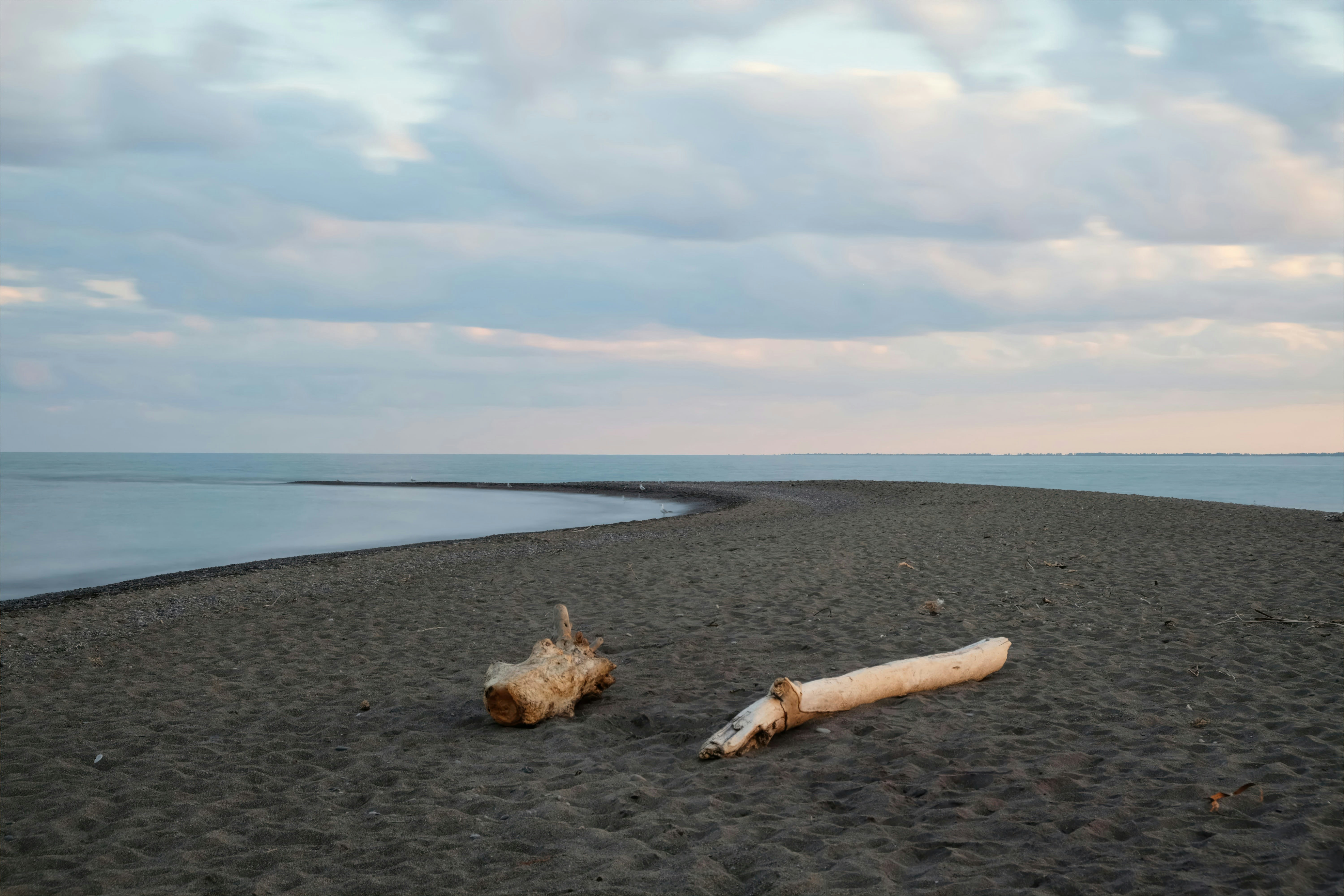 Driftwood on a Quiet Beach at Dusk