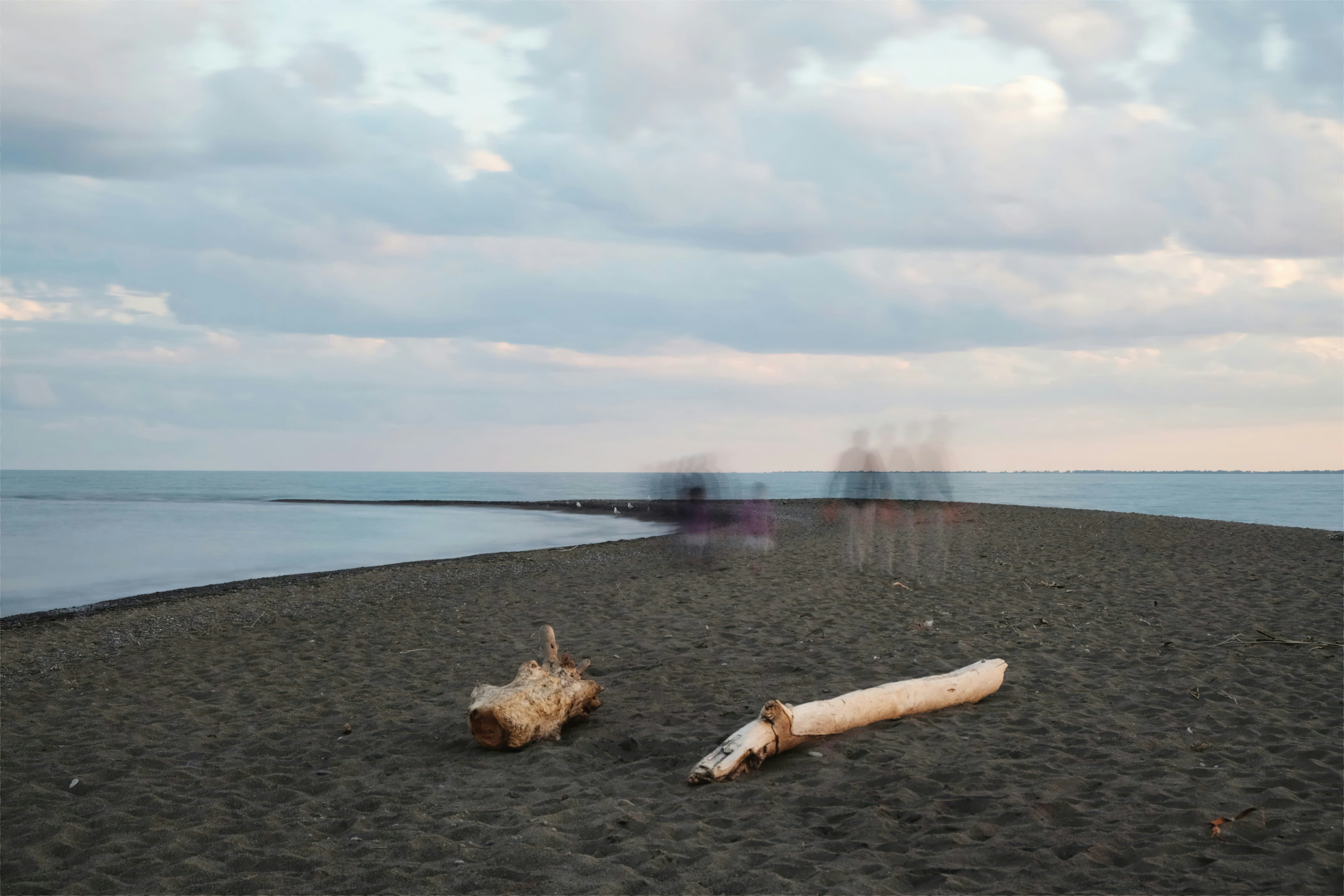 Driftwood on a Quiet Shoreline at Dusk
