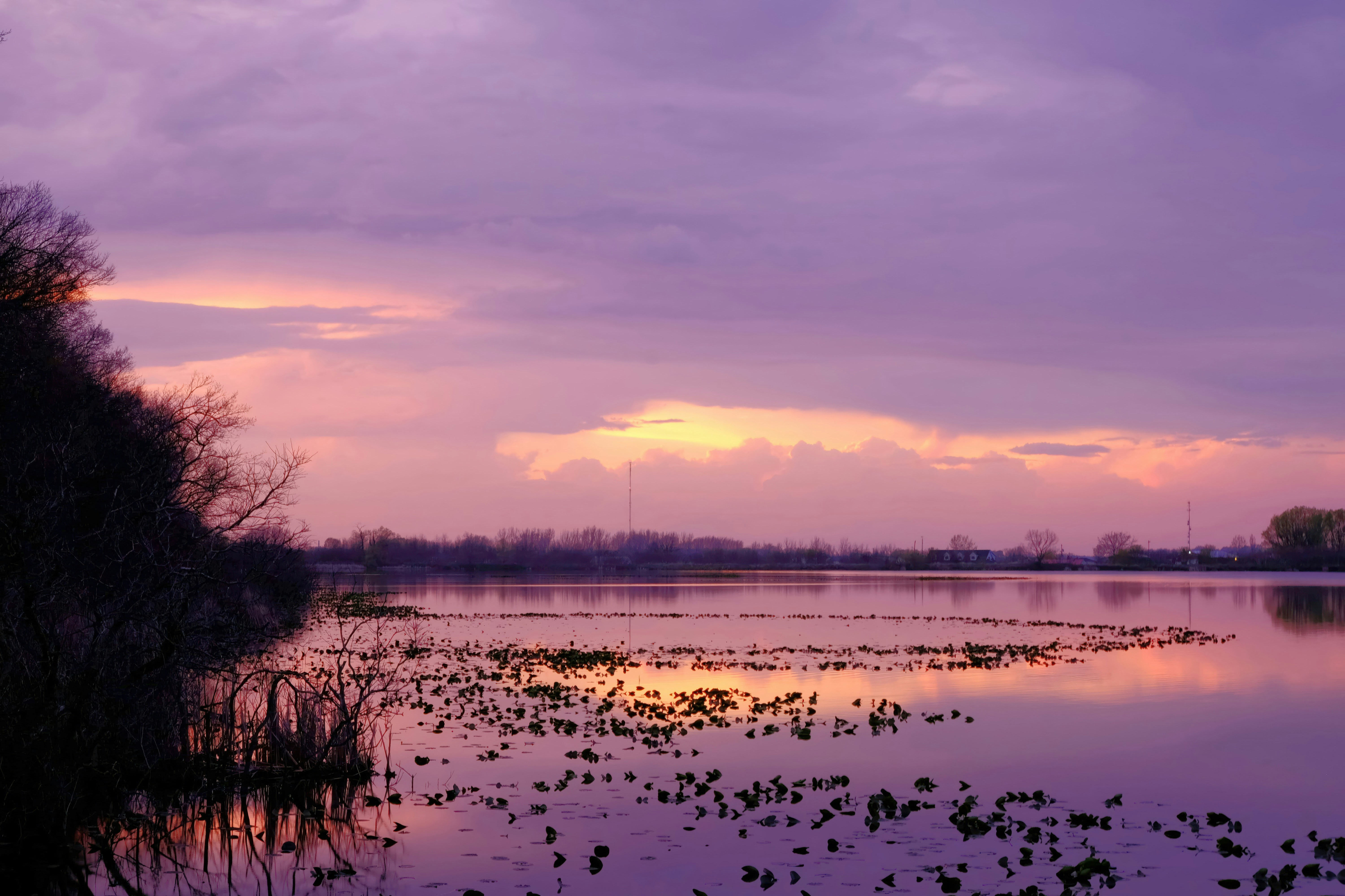 Dusk Over Quiet Wetlands: A Violet Hour Reflects on Still Water
