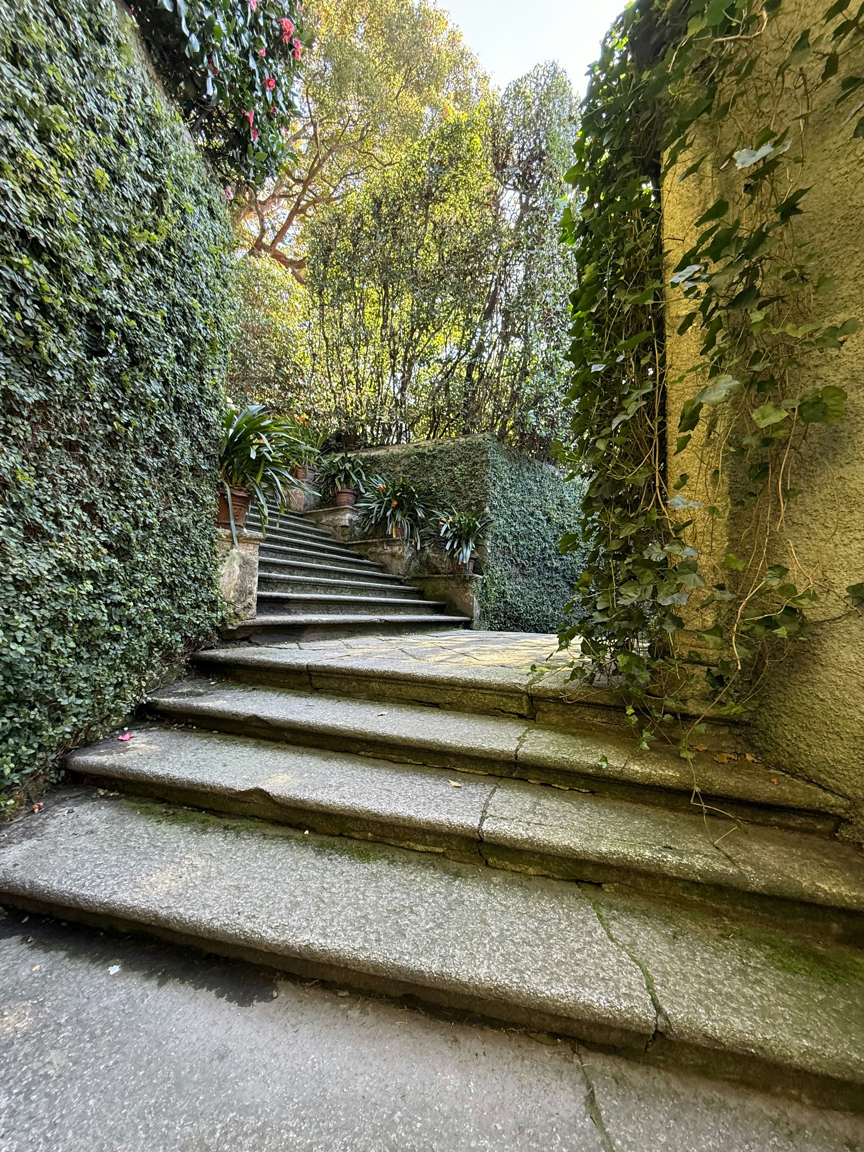 Sunlit stone stairs vanishing into a verdant courtyard