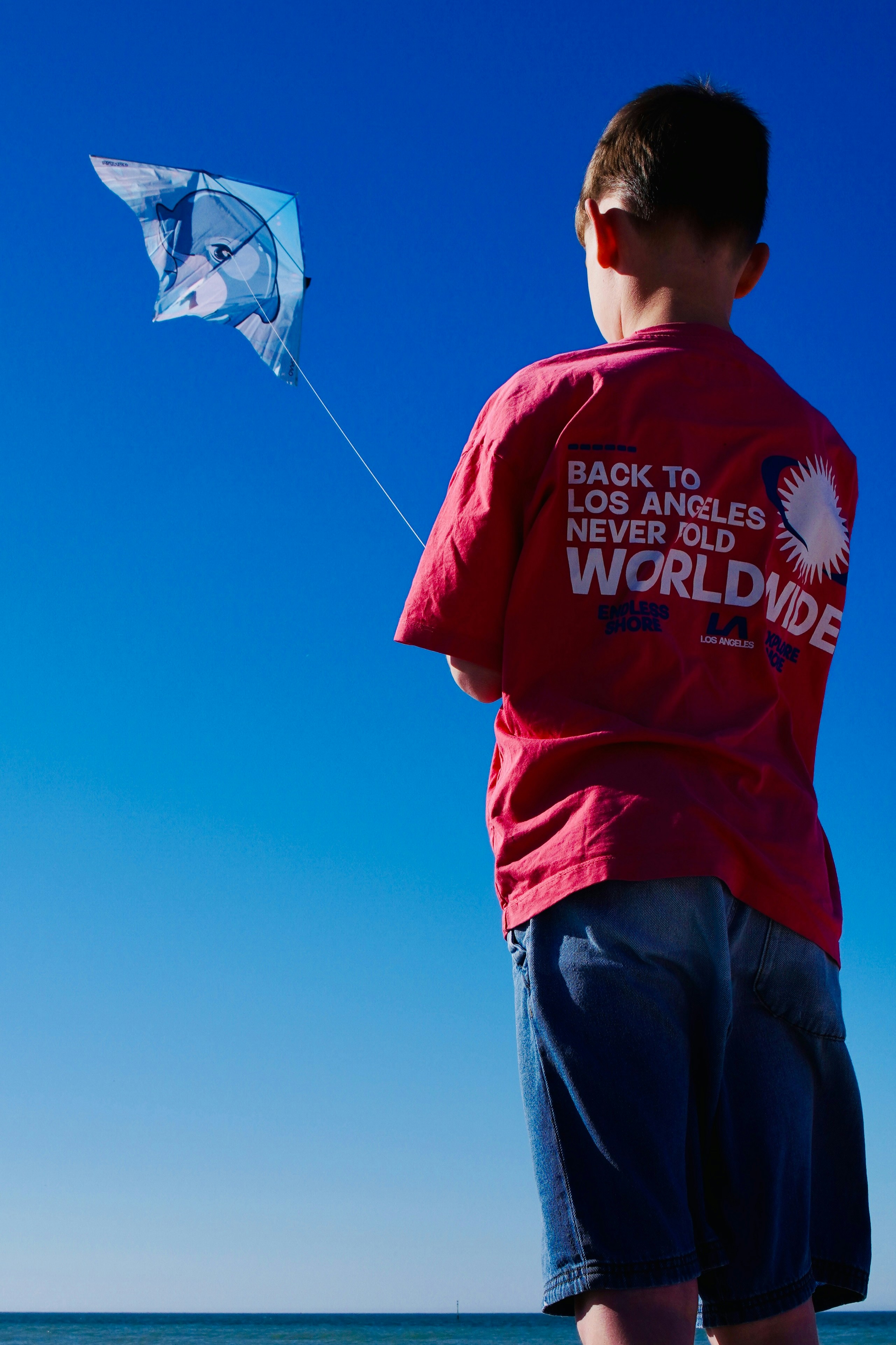 Red-Shirt Flyer: A Boy and His Kite Against a Sea-Blue Sky