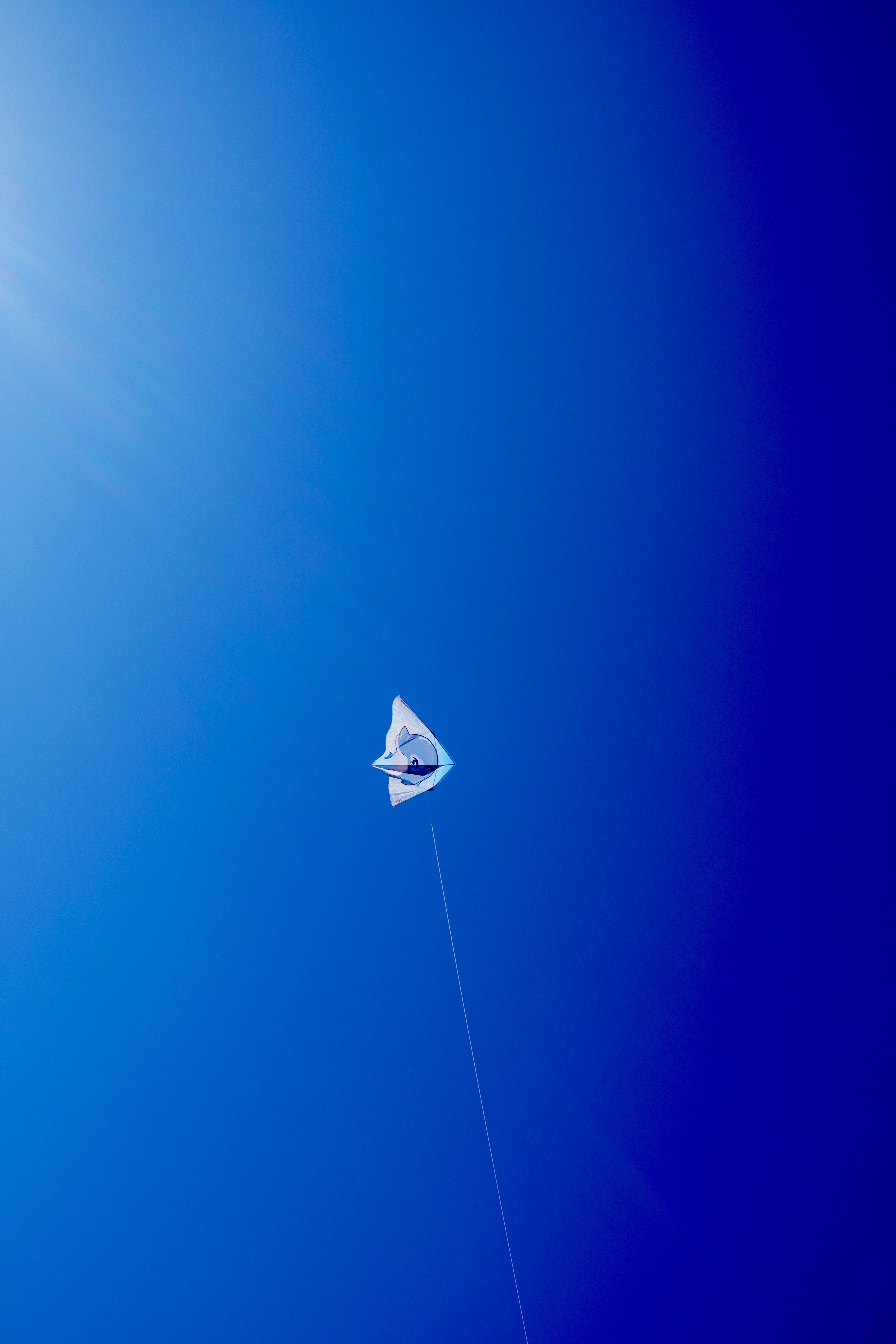White Sail Aloft: A Kite Soars Against a Cerulean Sky
