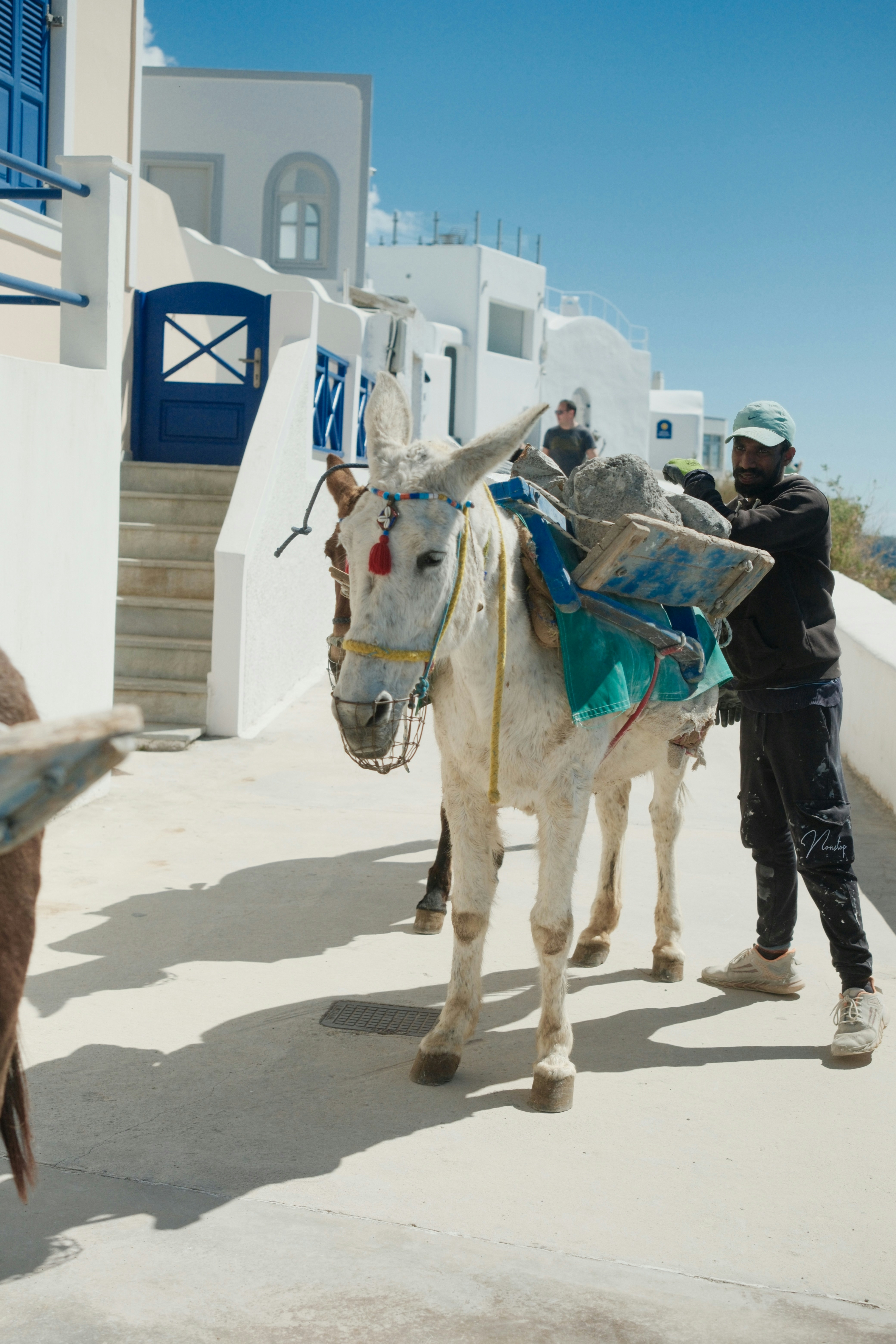 A Minoan-Blue Trek: Donkey, Rider, and White-Washed Alleys