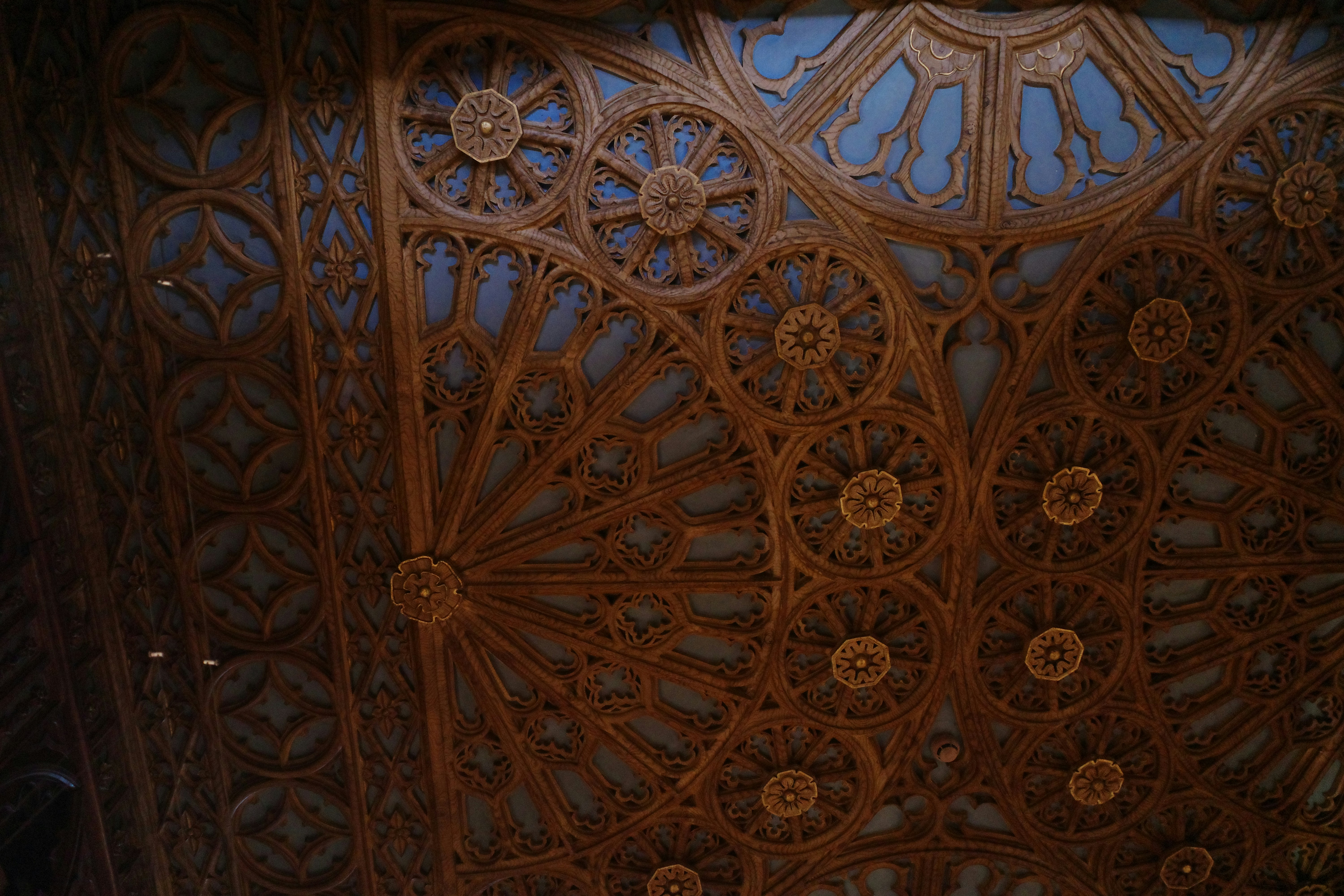 Moonlit Lattice: An Intricate Ceiling of Circles and Petals