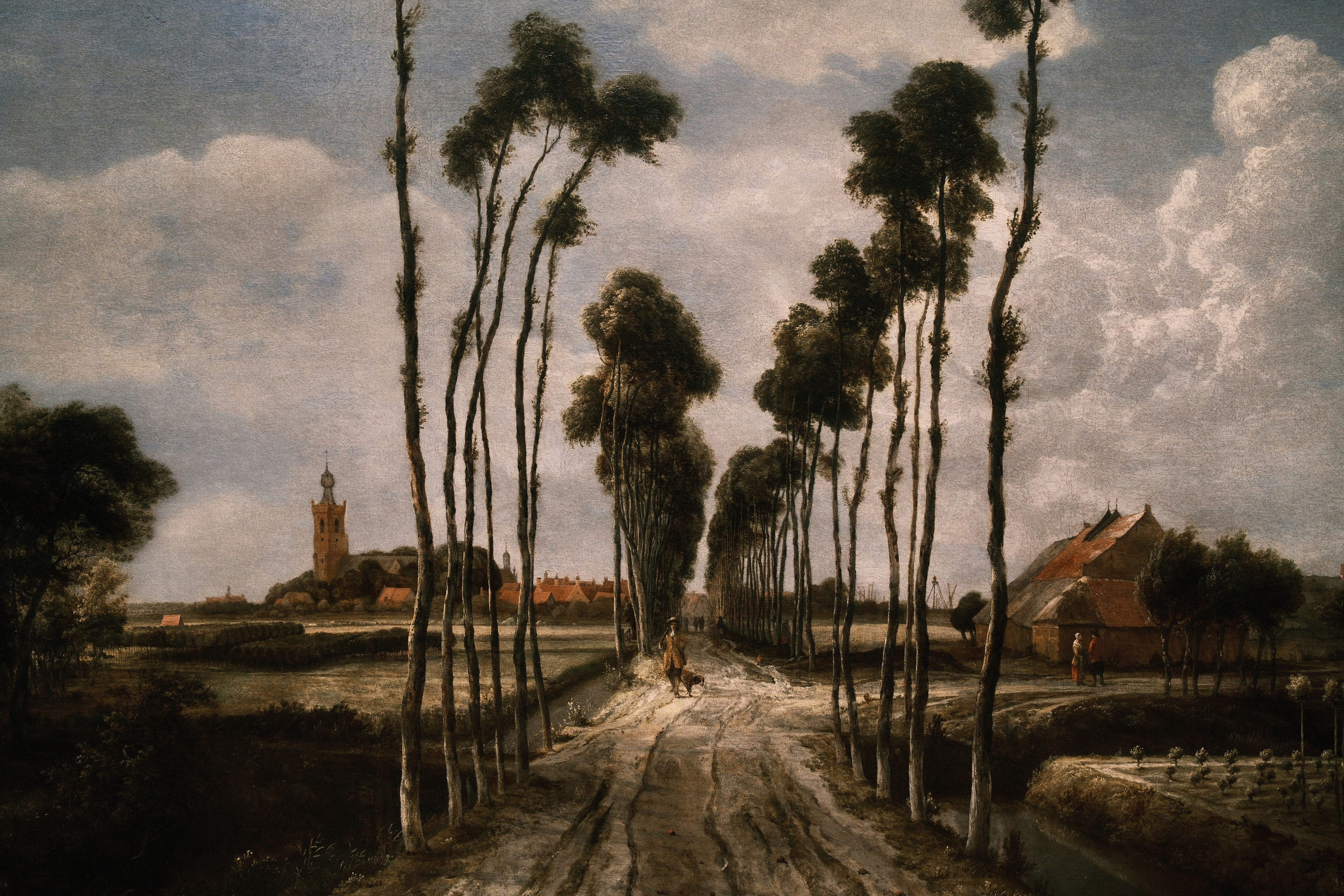 A Tinted Avenue: Trees Guiding a Quiet Rural Walk