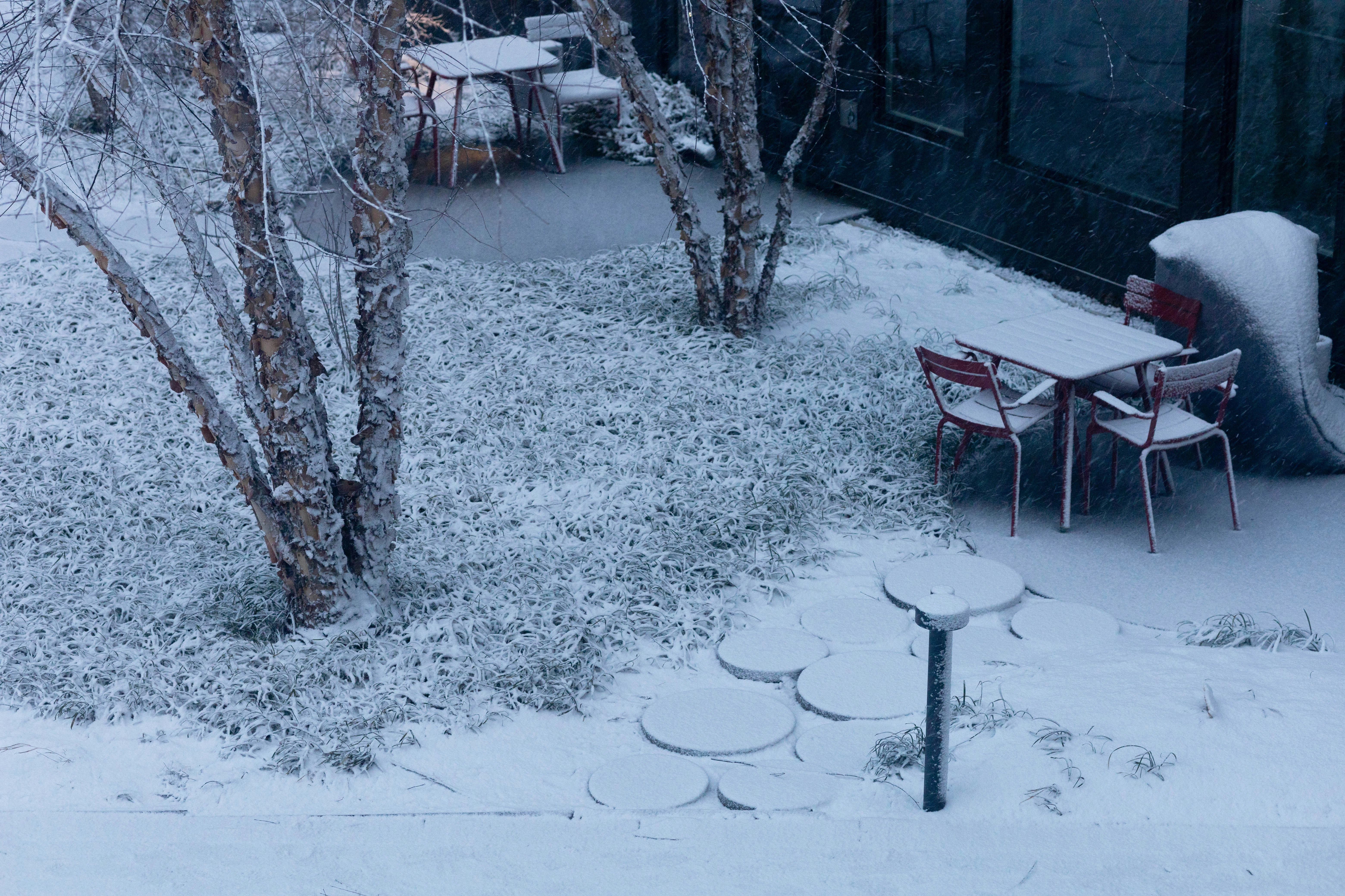Snow-dusted courtyard with bare trees and red outdoor seating