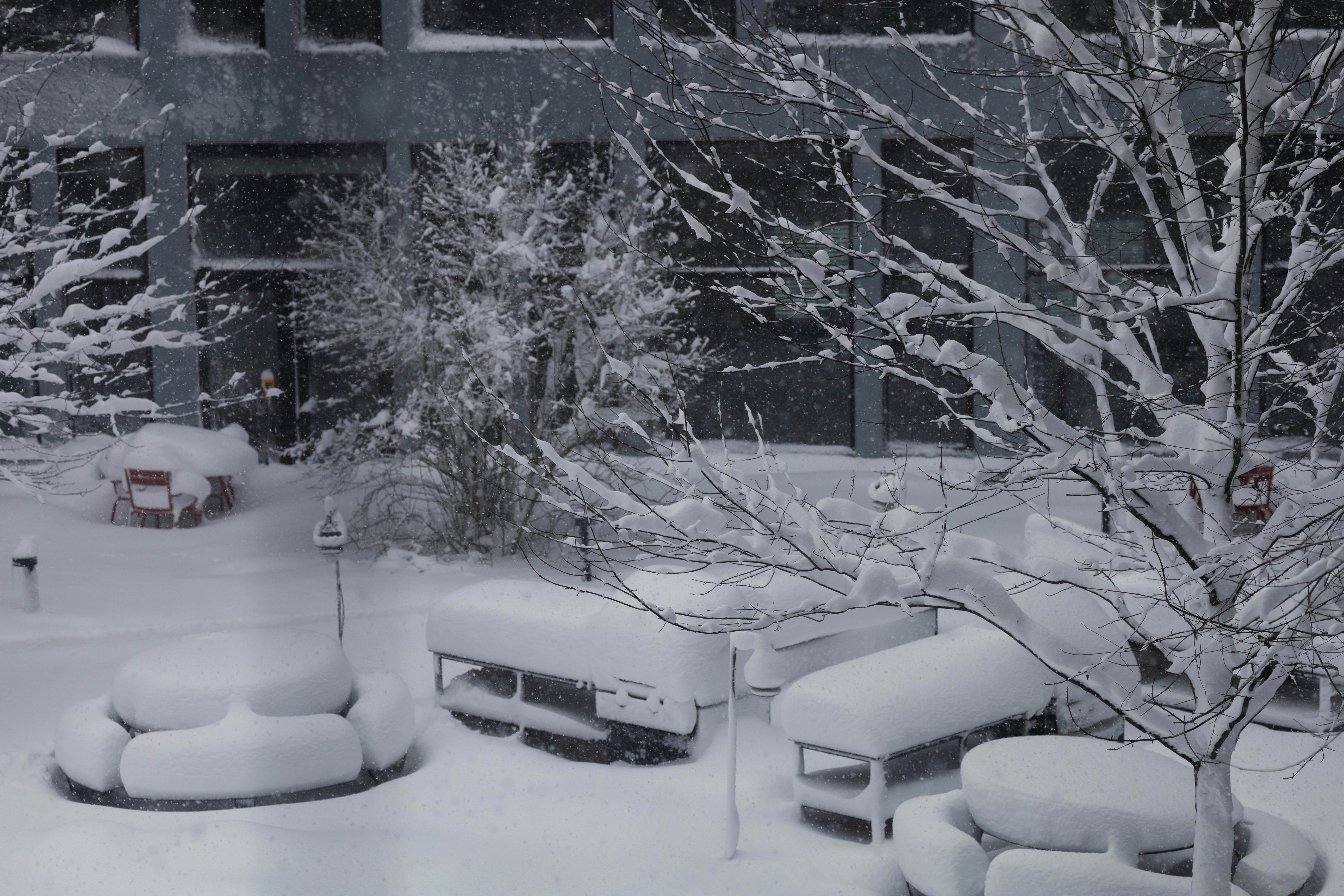 Snow-Laden Courtyard Centerpiece