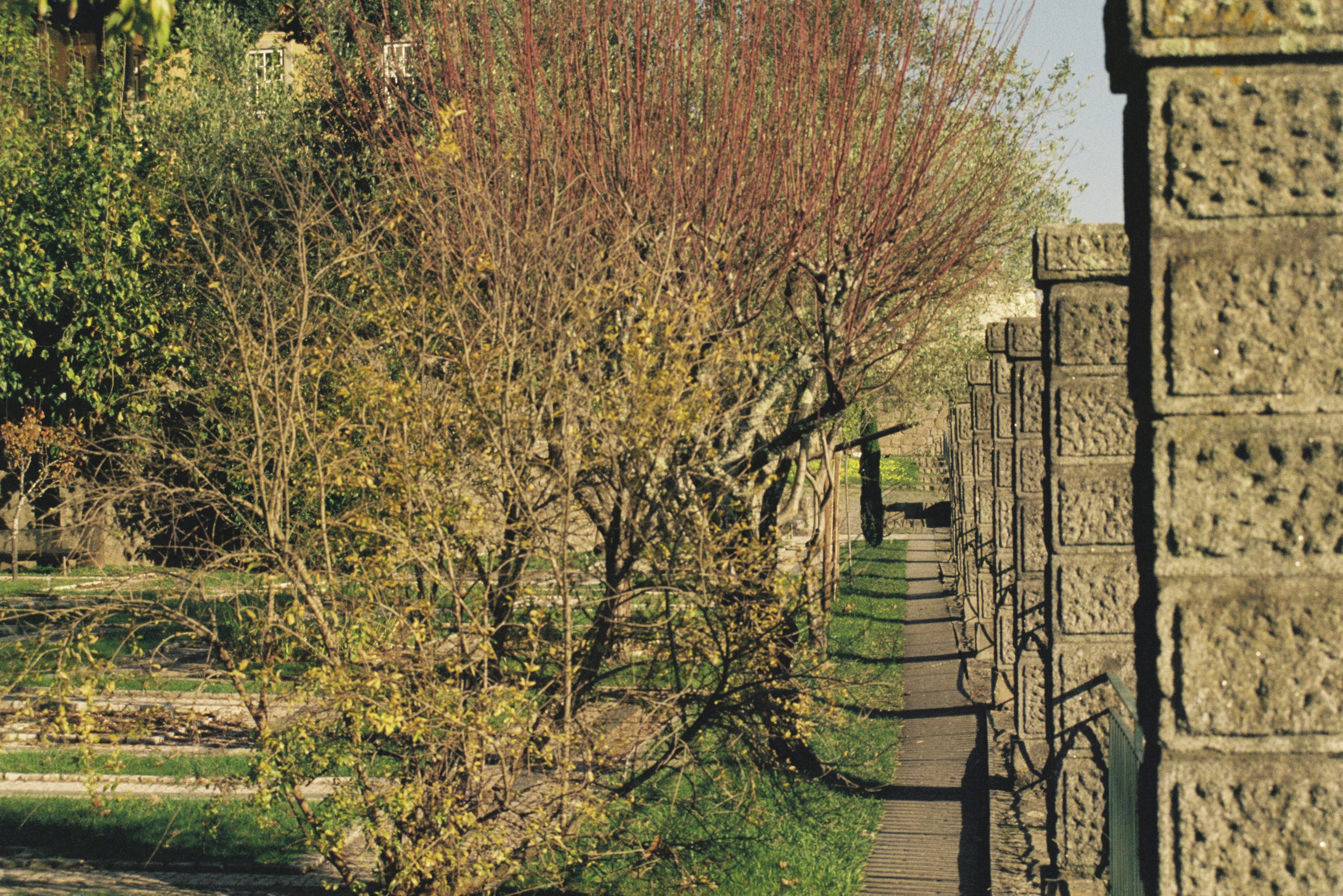 Quaint Alley of Stone and Shade