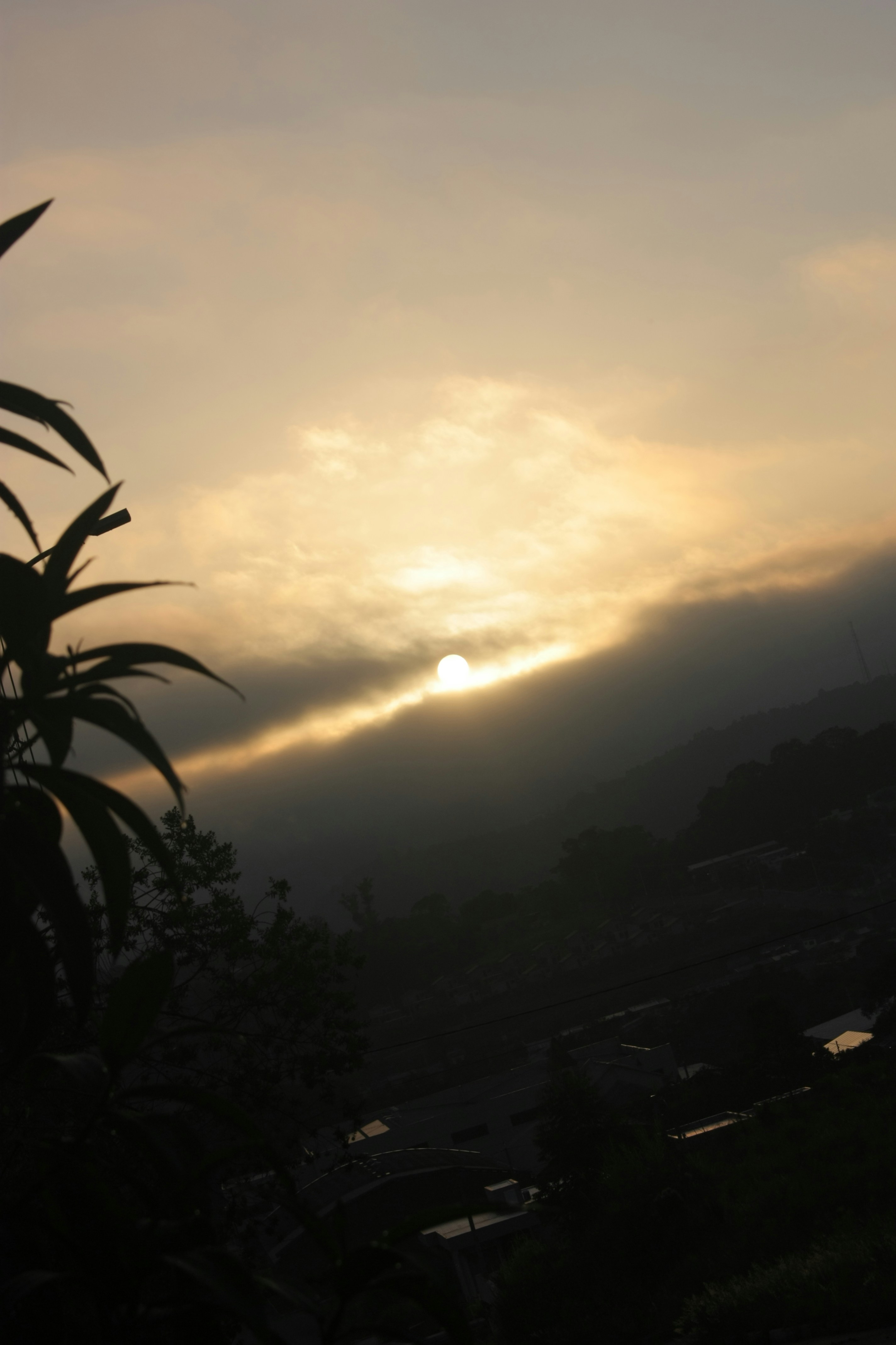 Sunset Veil Over the Hills: silhouette of foliage against a luminous horizon