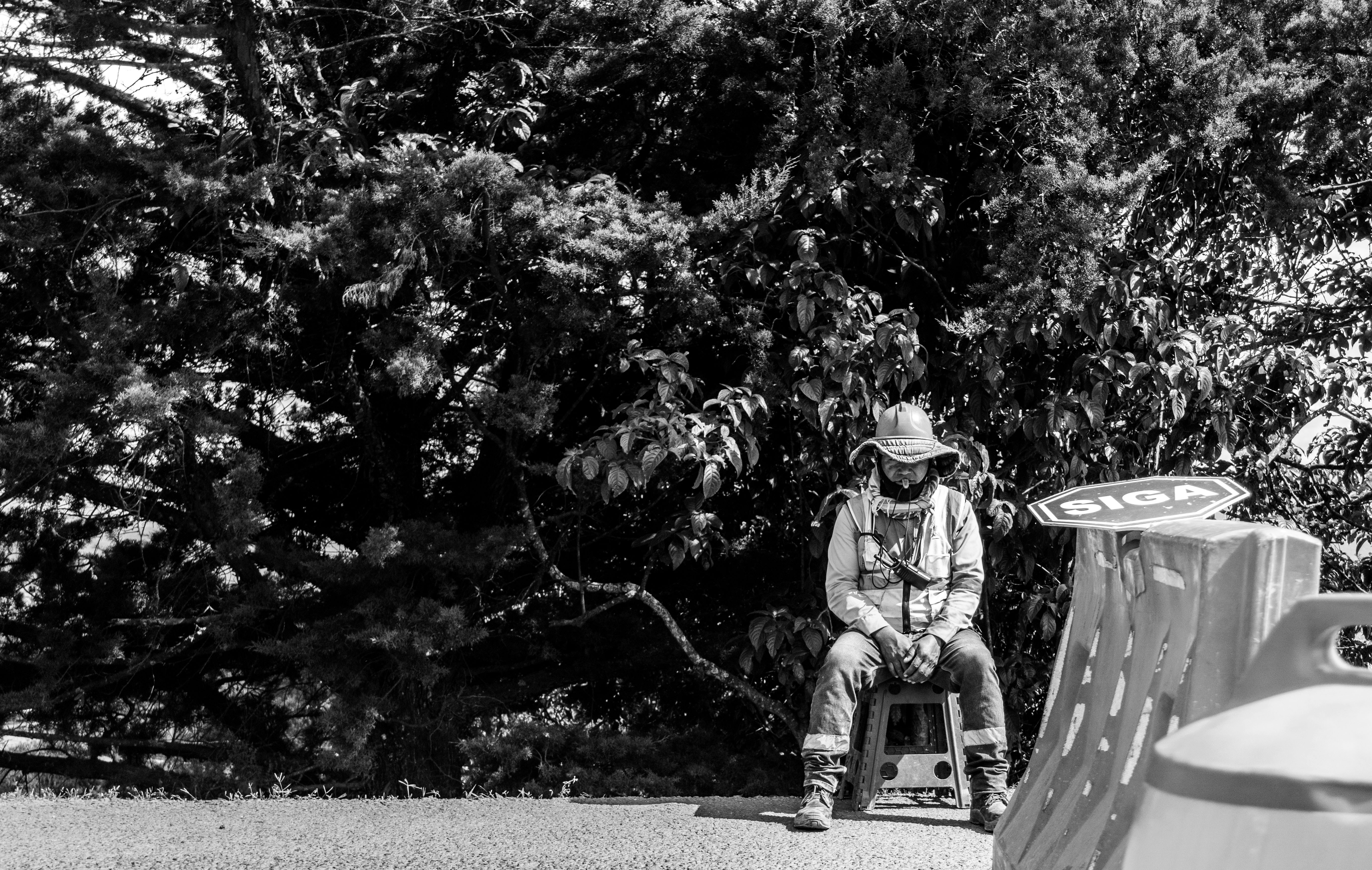 Lone Worker Beneath the Canopy: A Quiet Moment at the Site