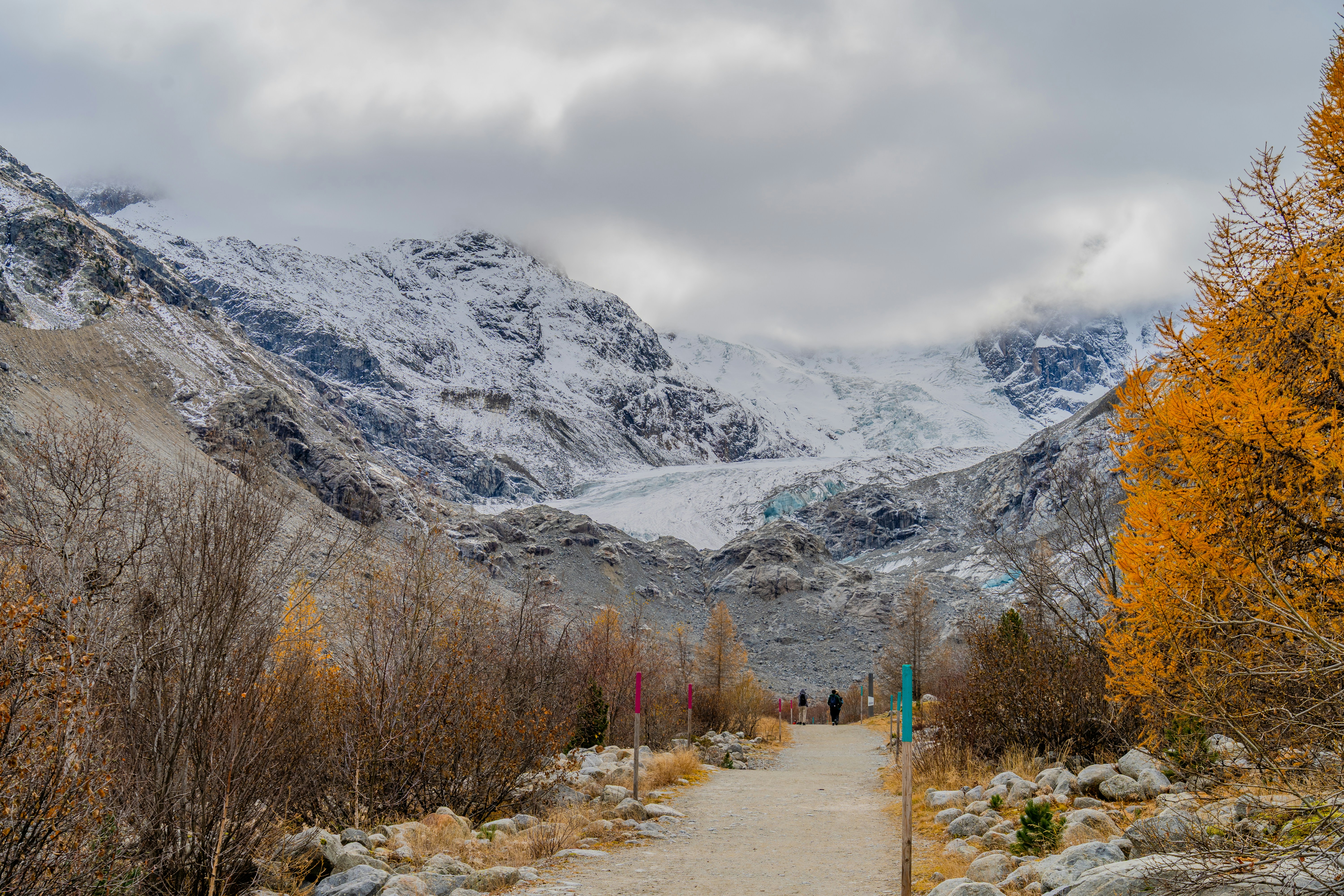 Snowfield Path: A Quiet Corridor Toward Mute Peaks