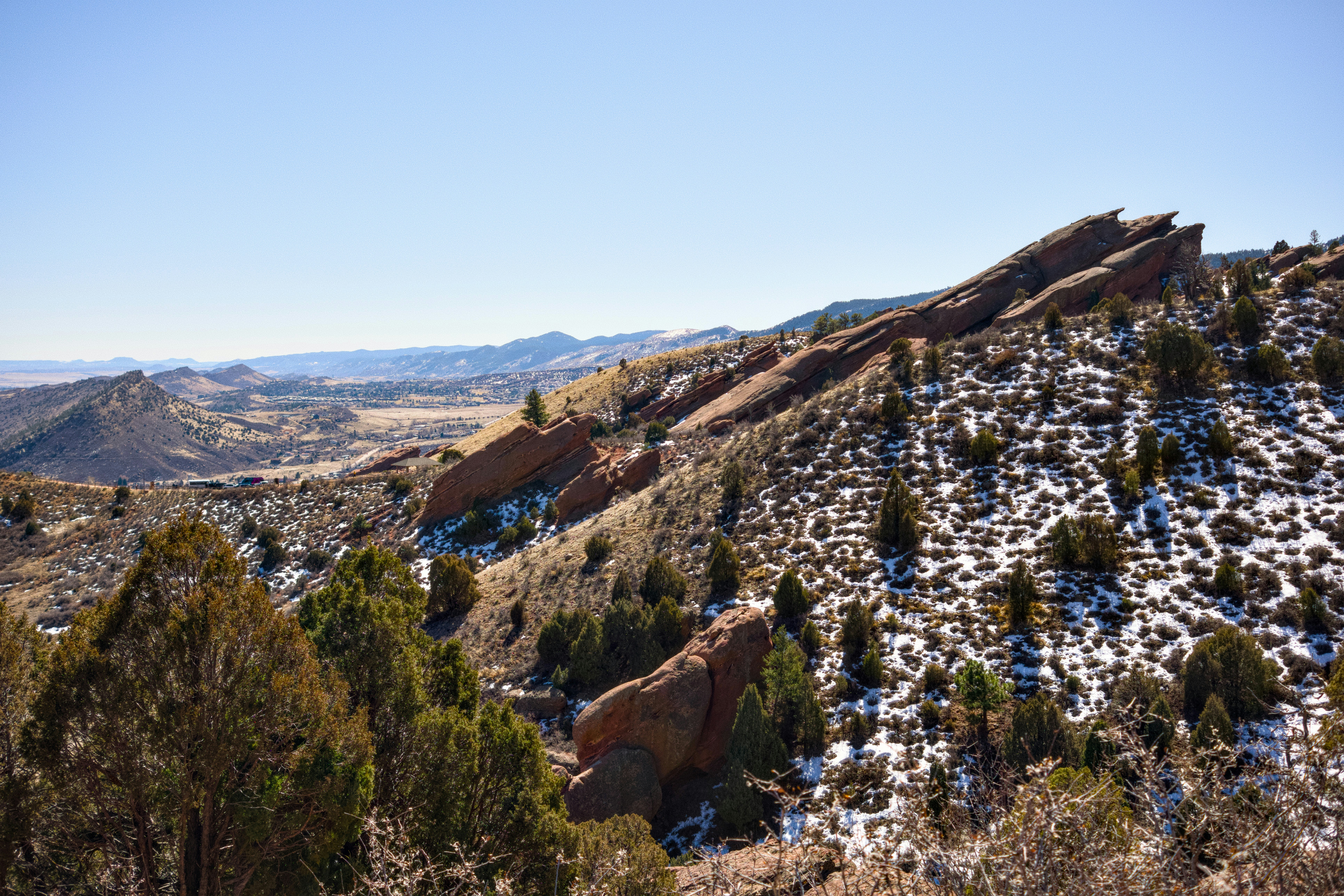 Ridgeline Serenade: Snow-dusted pines Beneath a Clear Plateau Sky