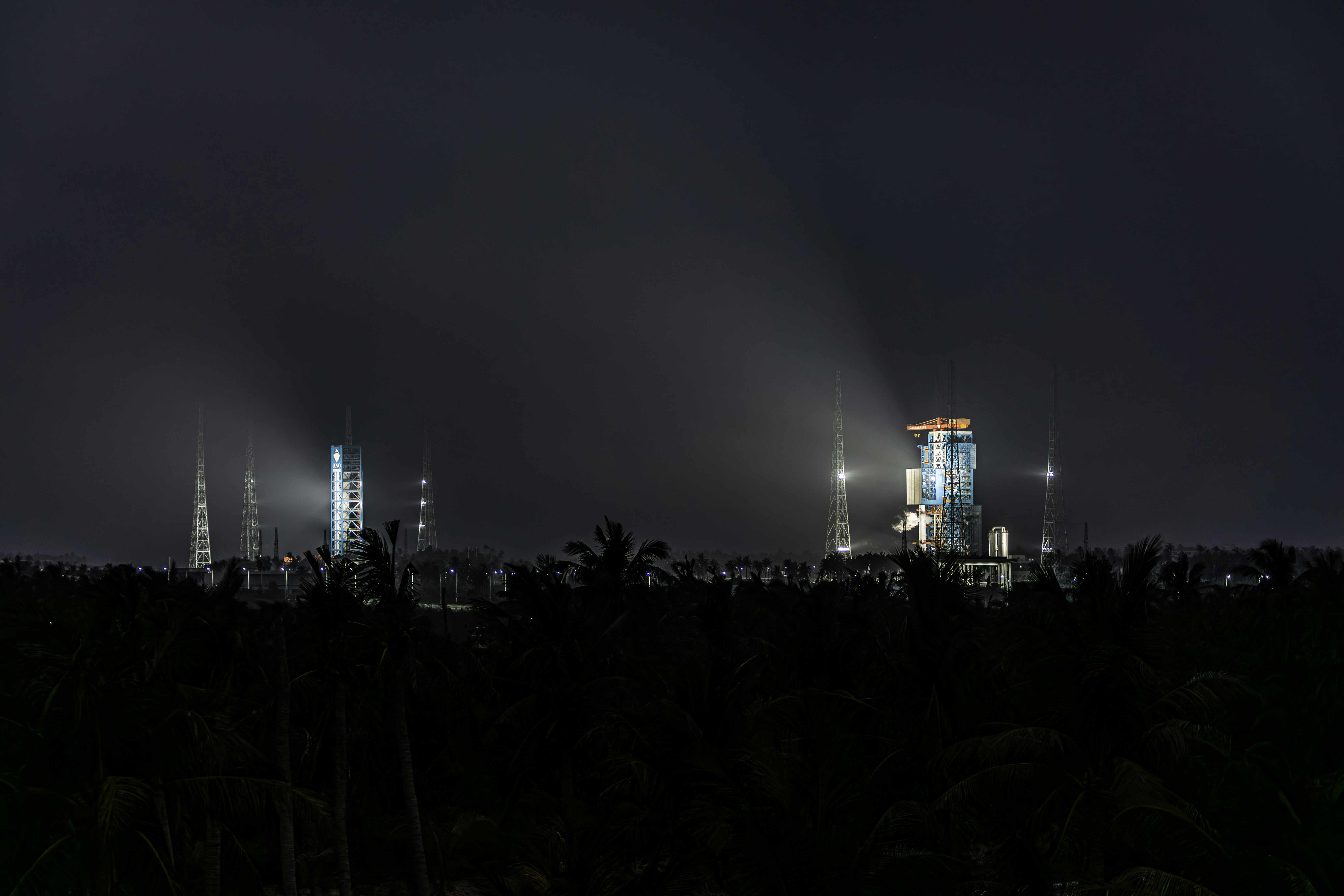 Luminous Skeleton: Nighttime Skyline Piercing the Palm Shadows