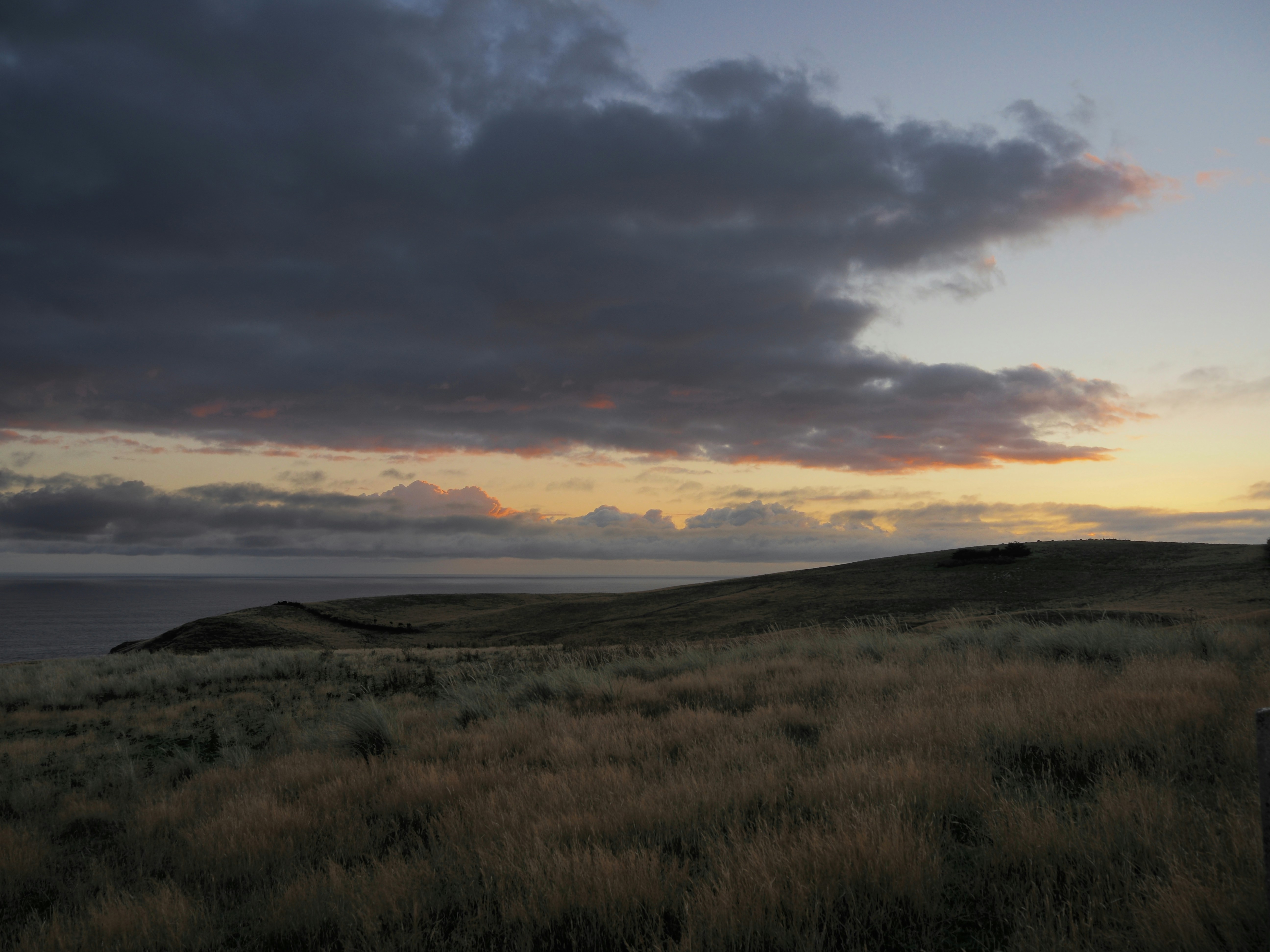 Horizon Glow Over Quiet Coastal Grasslands