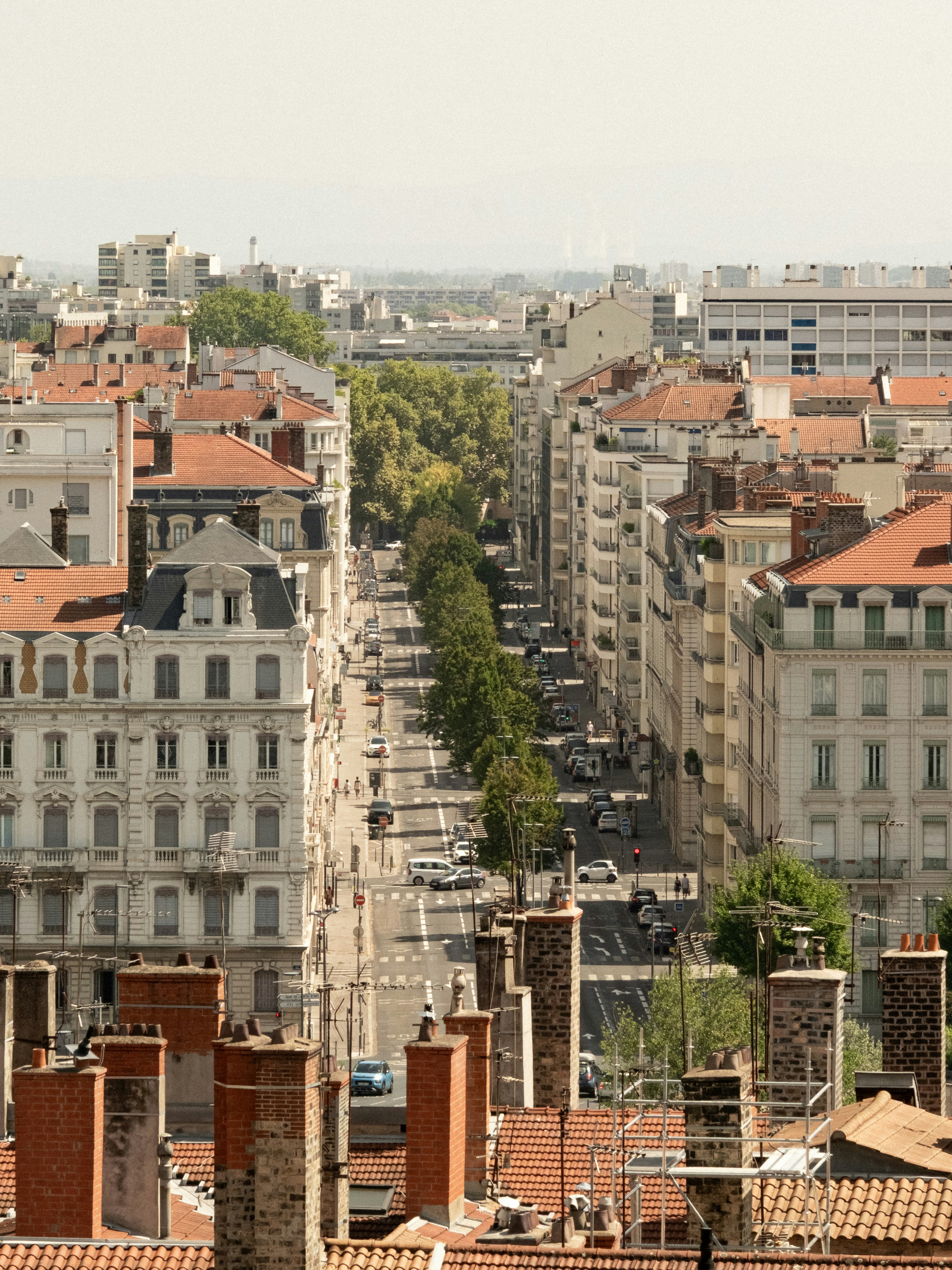 A Parisian Avenue: Trees Framing a Quiet Street Between Classic Facades