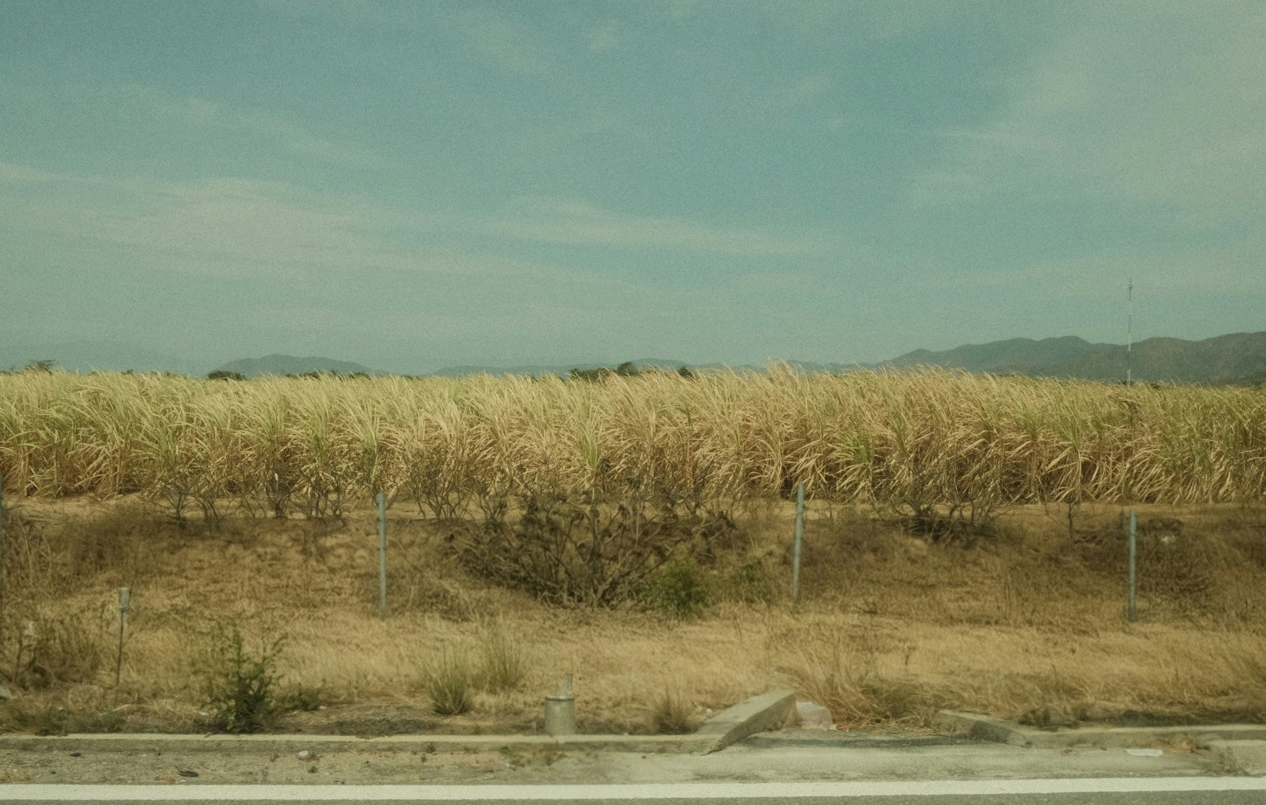 Dusty Harvest Field under a Quiet Sky