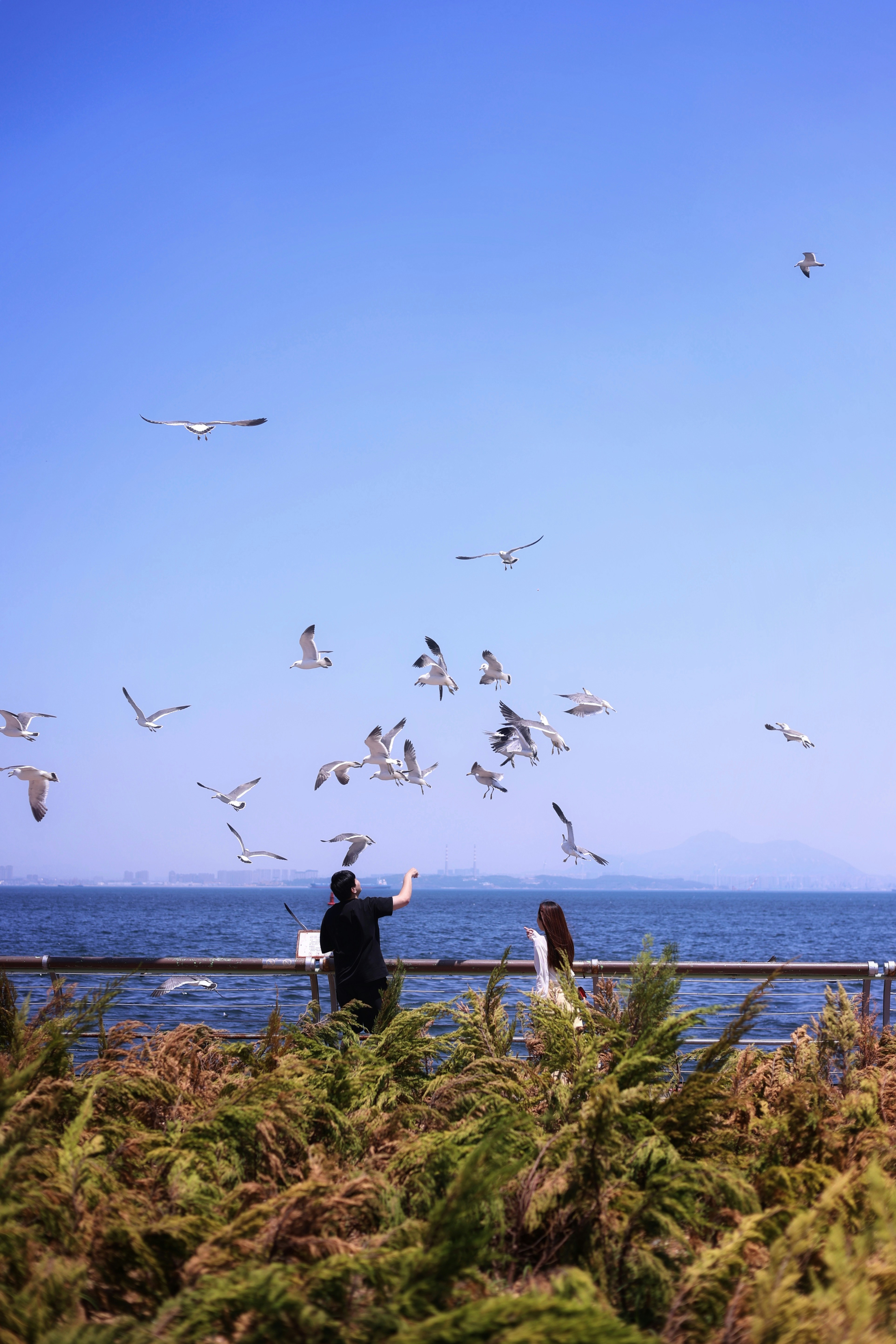 A Moment of Flight by the Sea