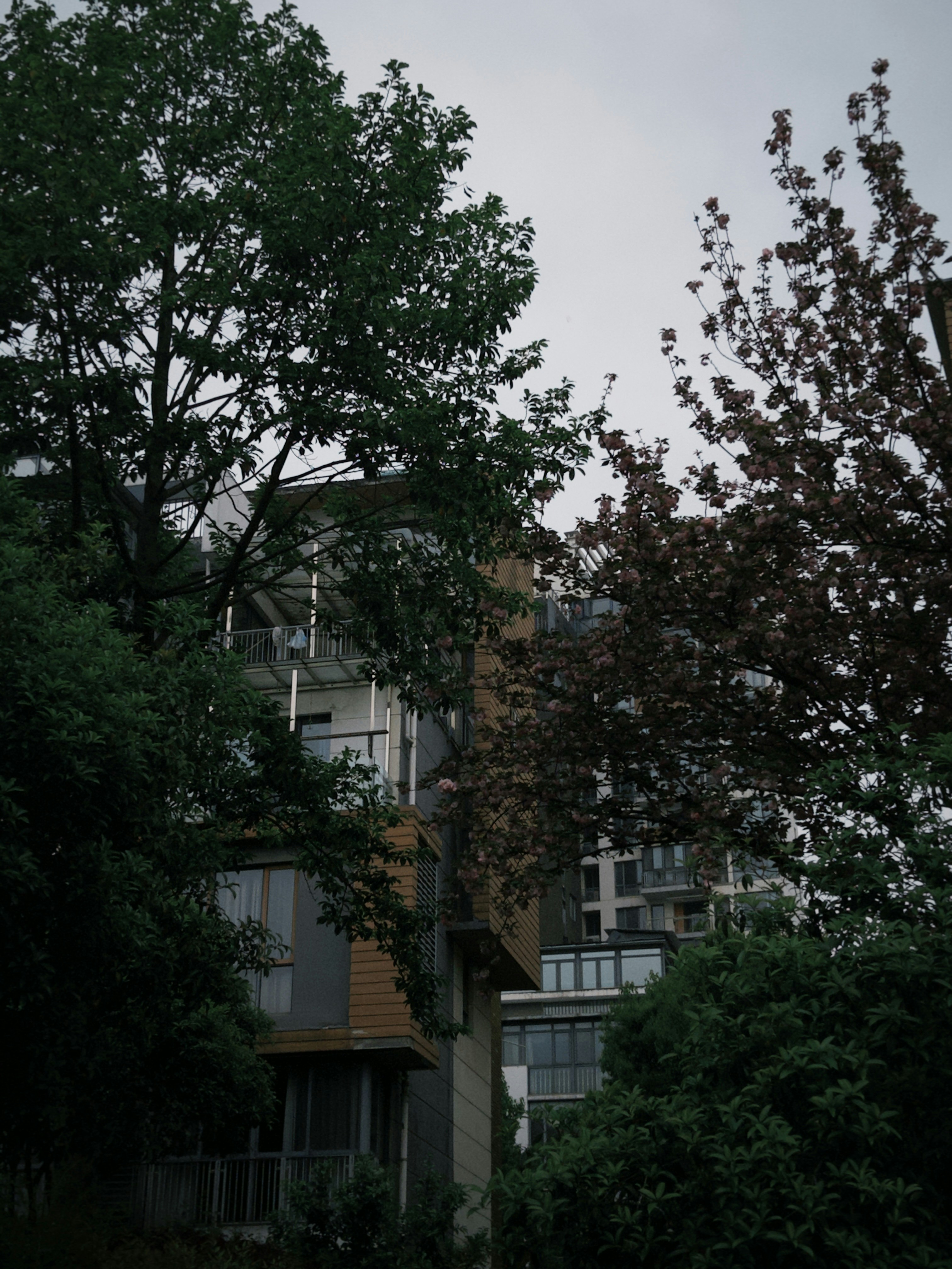 Urban Canopy Above a Modern Balcony Building