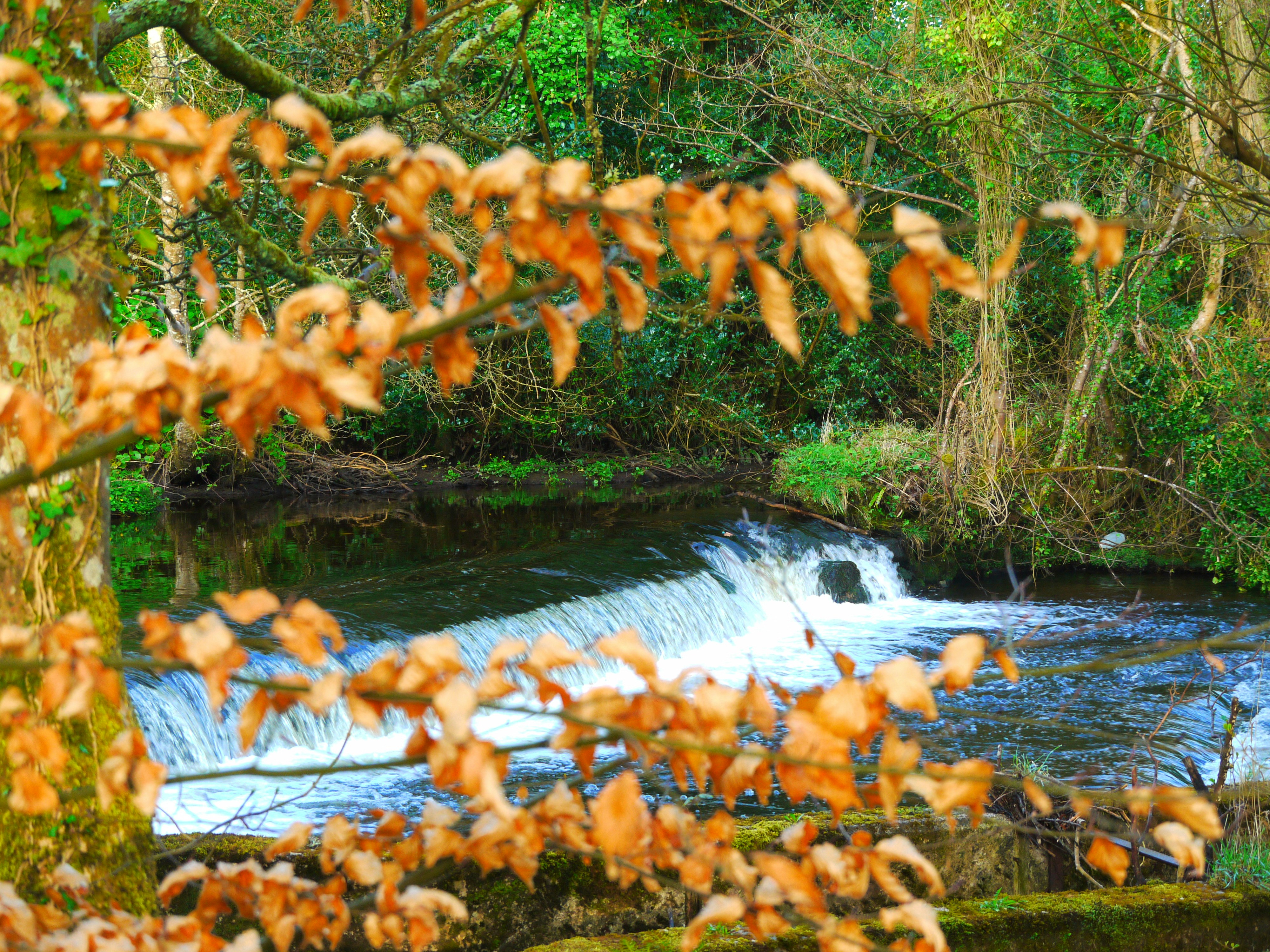 Autumn Whispers Over a Quiet River