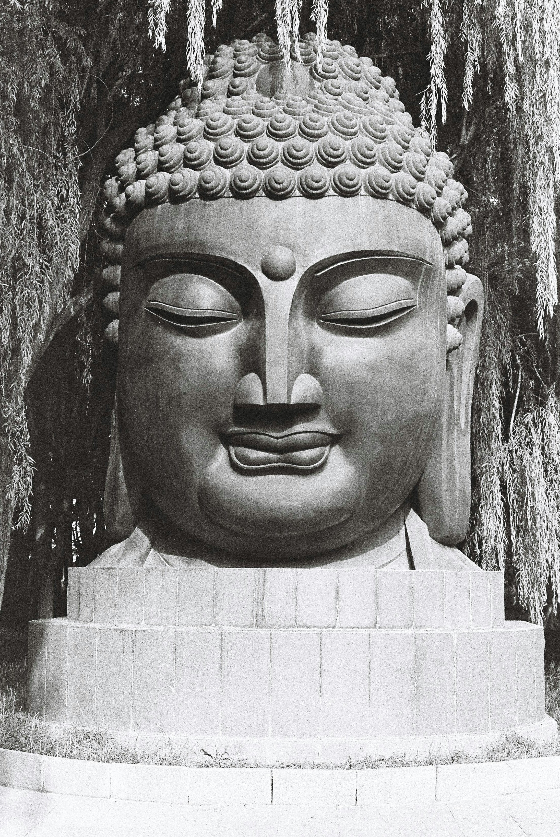Serene Granite Buddha Head Carved in Silence