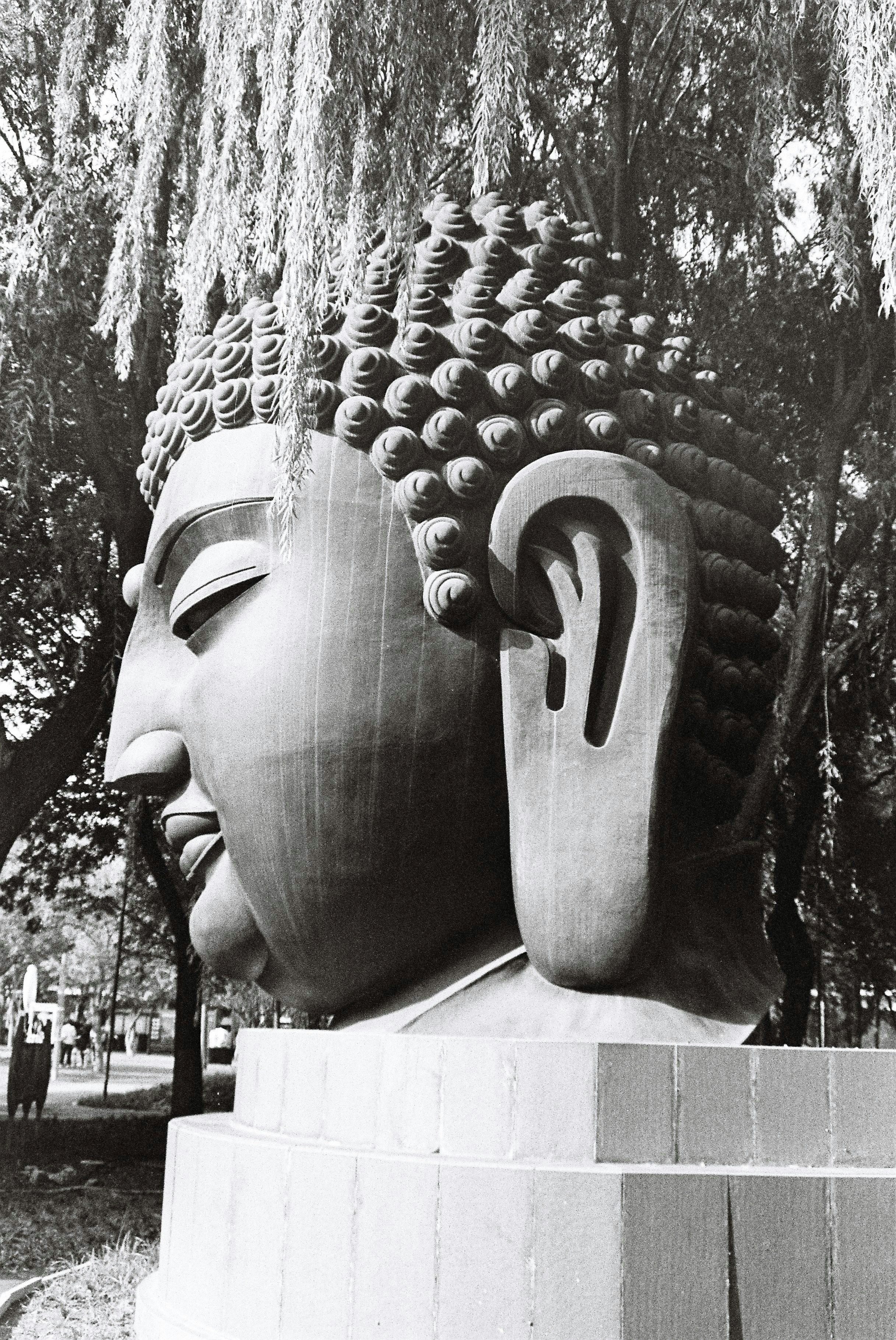 Serene Giant: A Tranquil Buddha Portrait in Monochrome