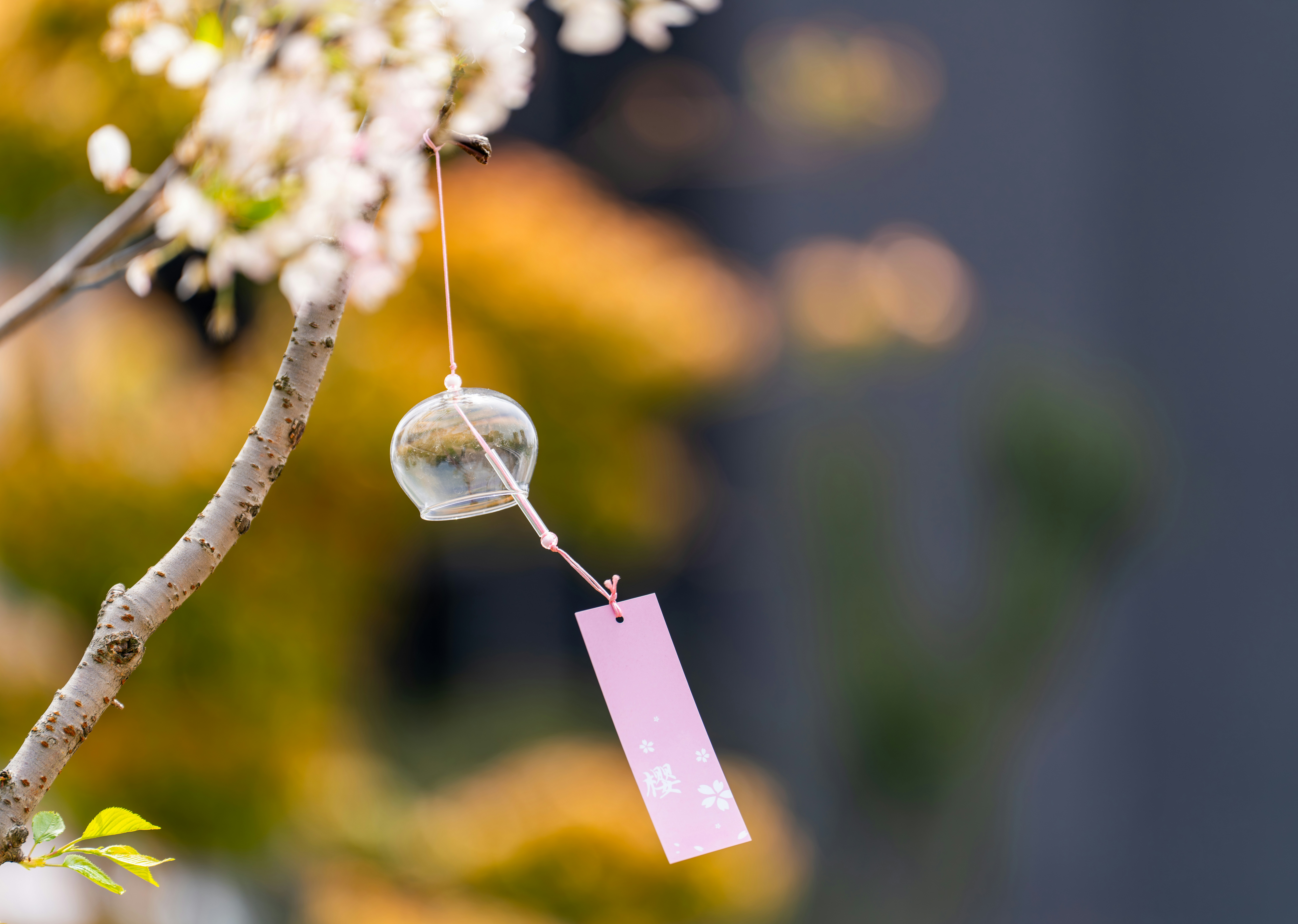 Hanging Tinkling Tag: A Delicate Crescent of Glass on Spring Branch