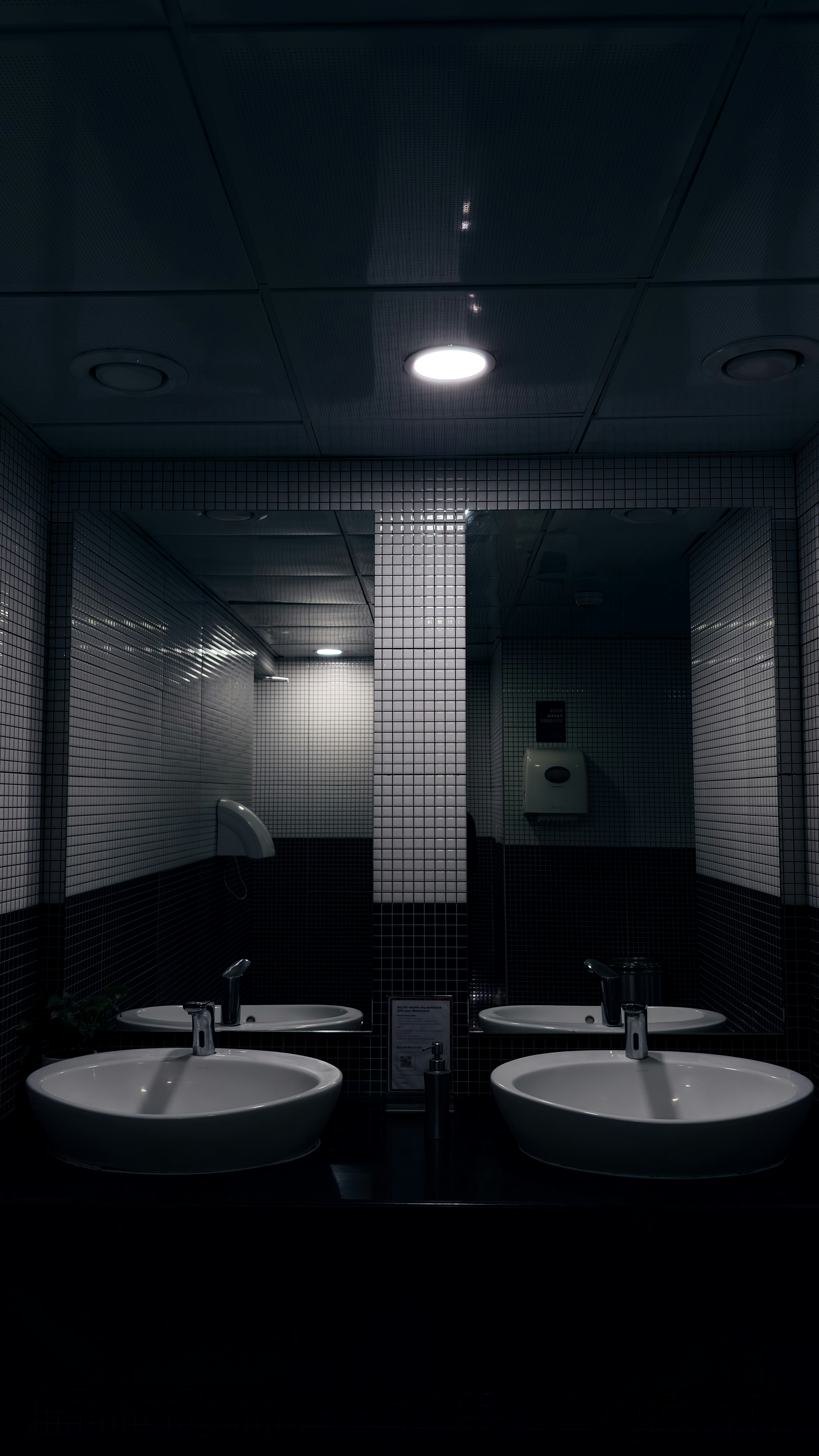 Twin Sinks Under Fluorescent Gloom