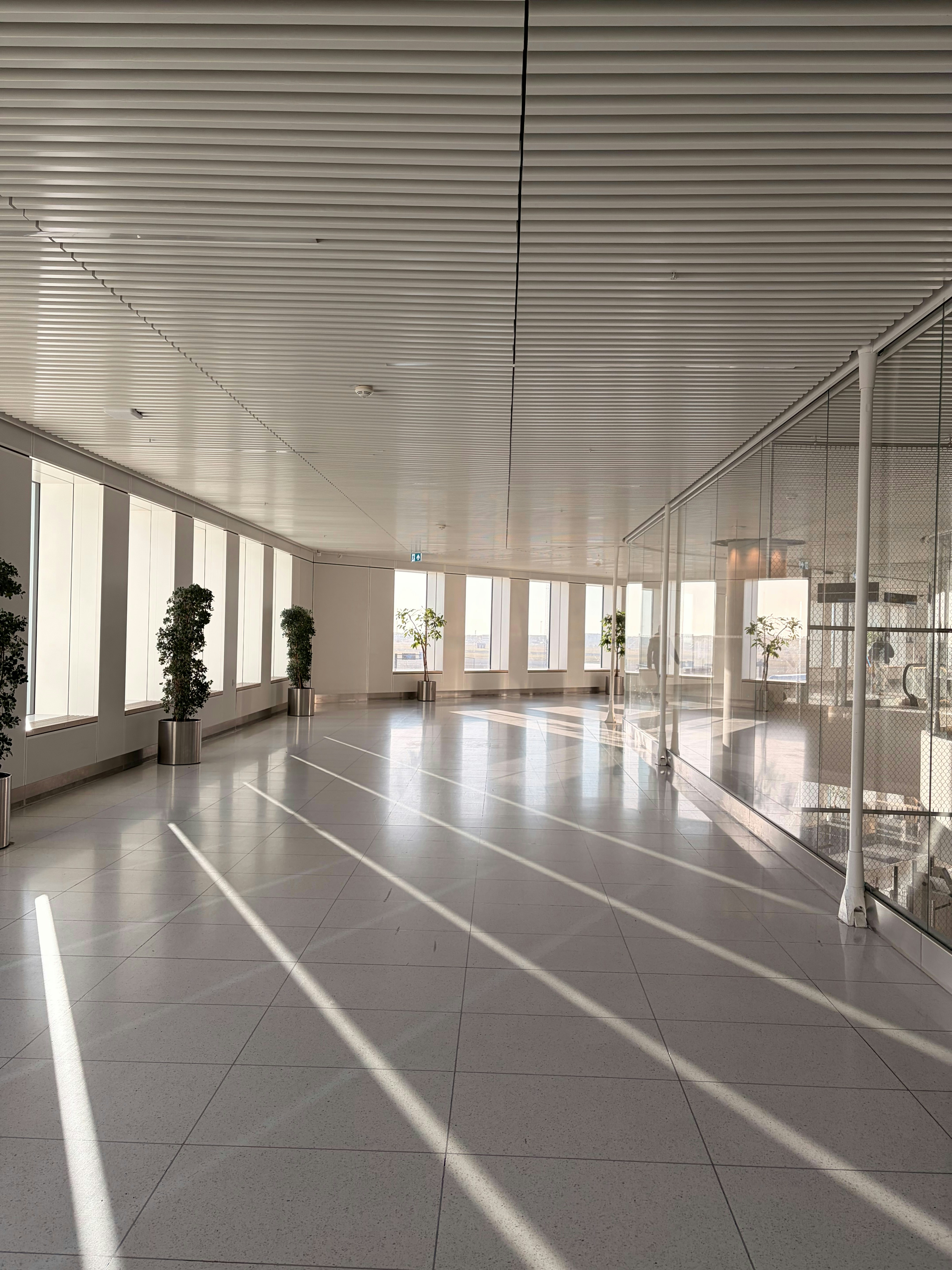 Sunlit Corridor of Quiet Geometry