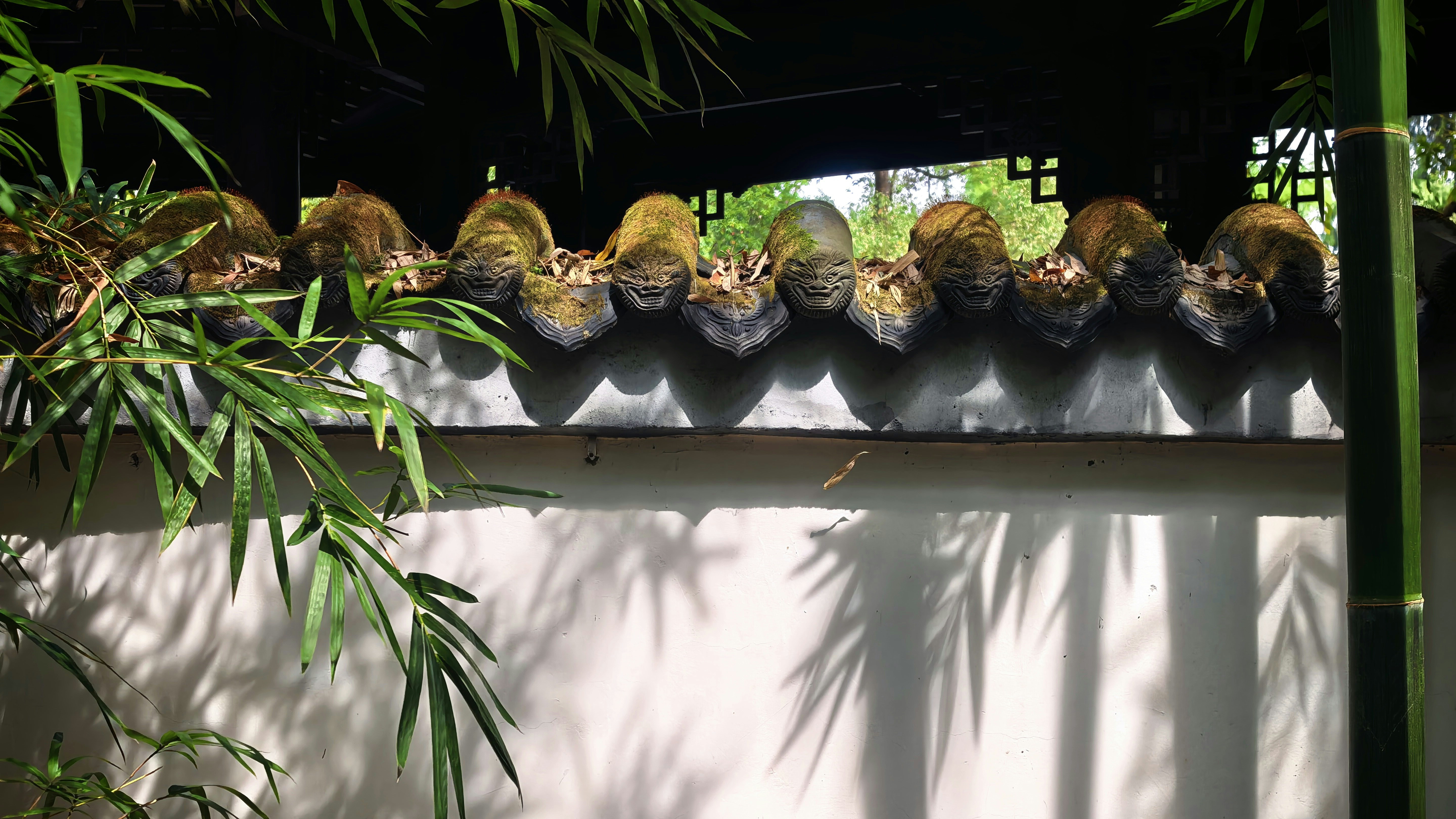Row of Stone Apes Guarded by Dappled Shade