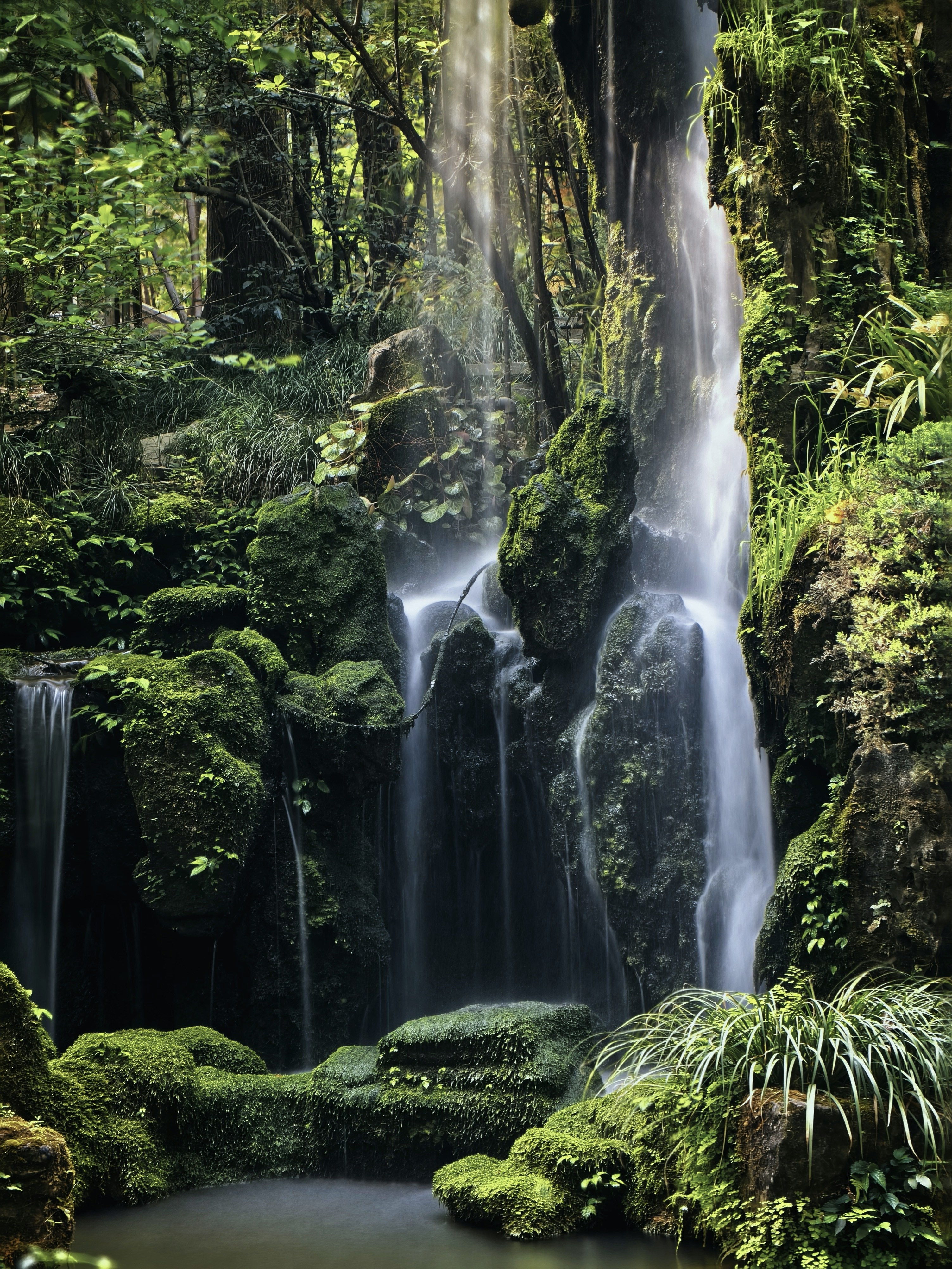 Emerald Veil: Moss-Covered Cascade in a Quiet Forest