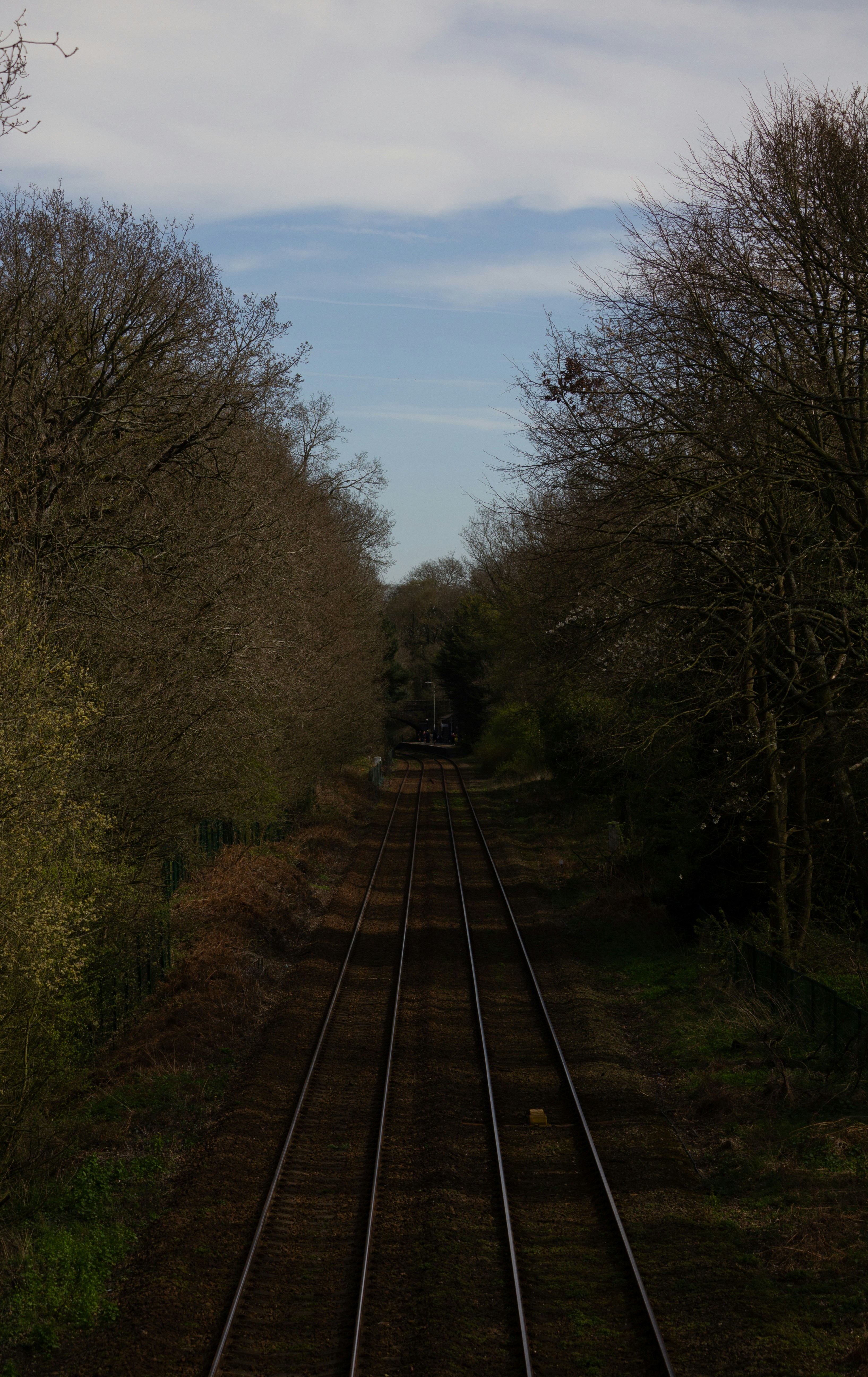 Vanishing Rails Through Winter Silence