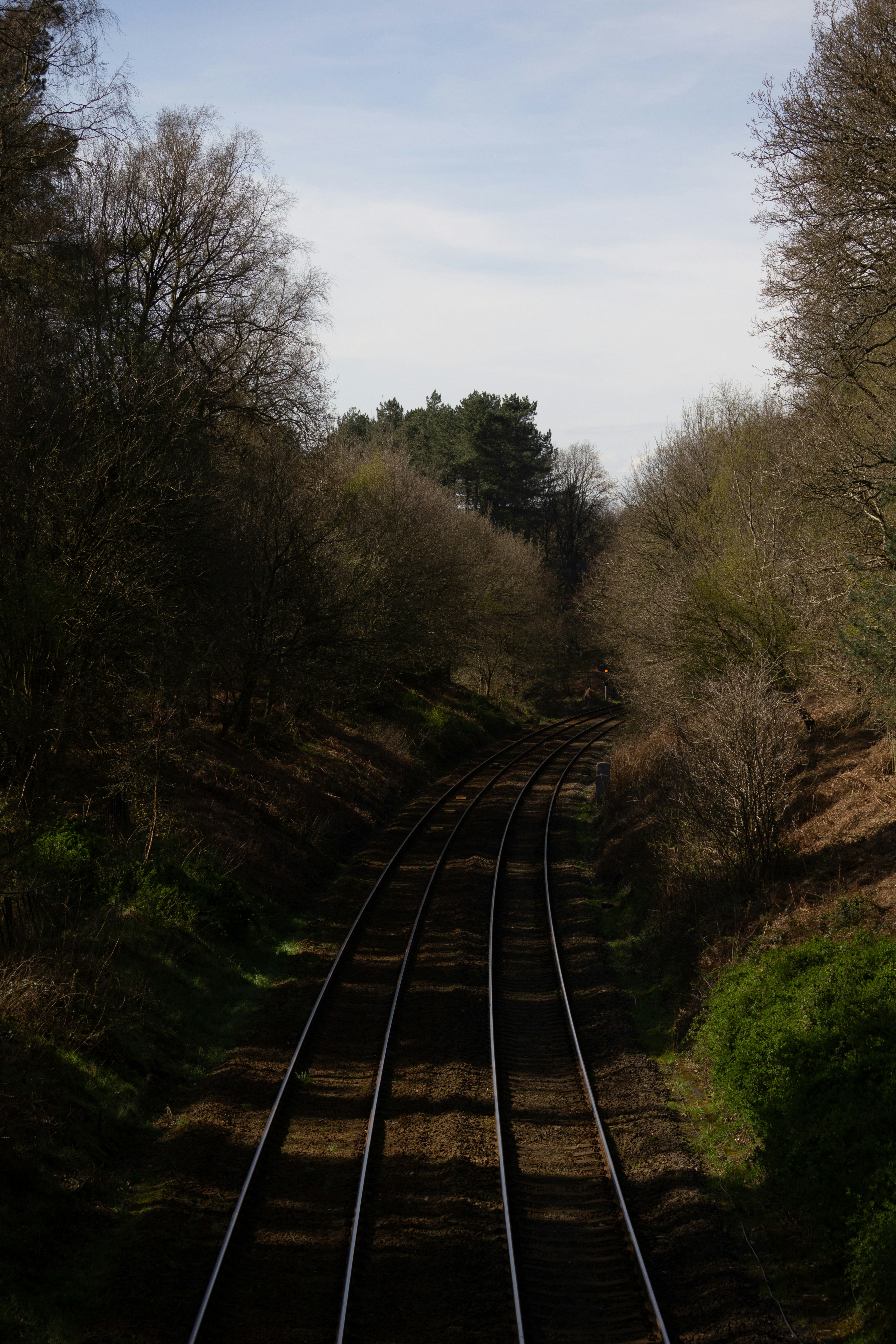 Aerial Corridor: Rails Winding Through Dusk-Soft Woodland