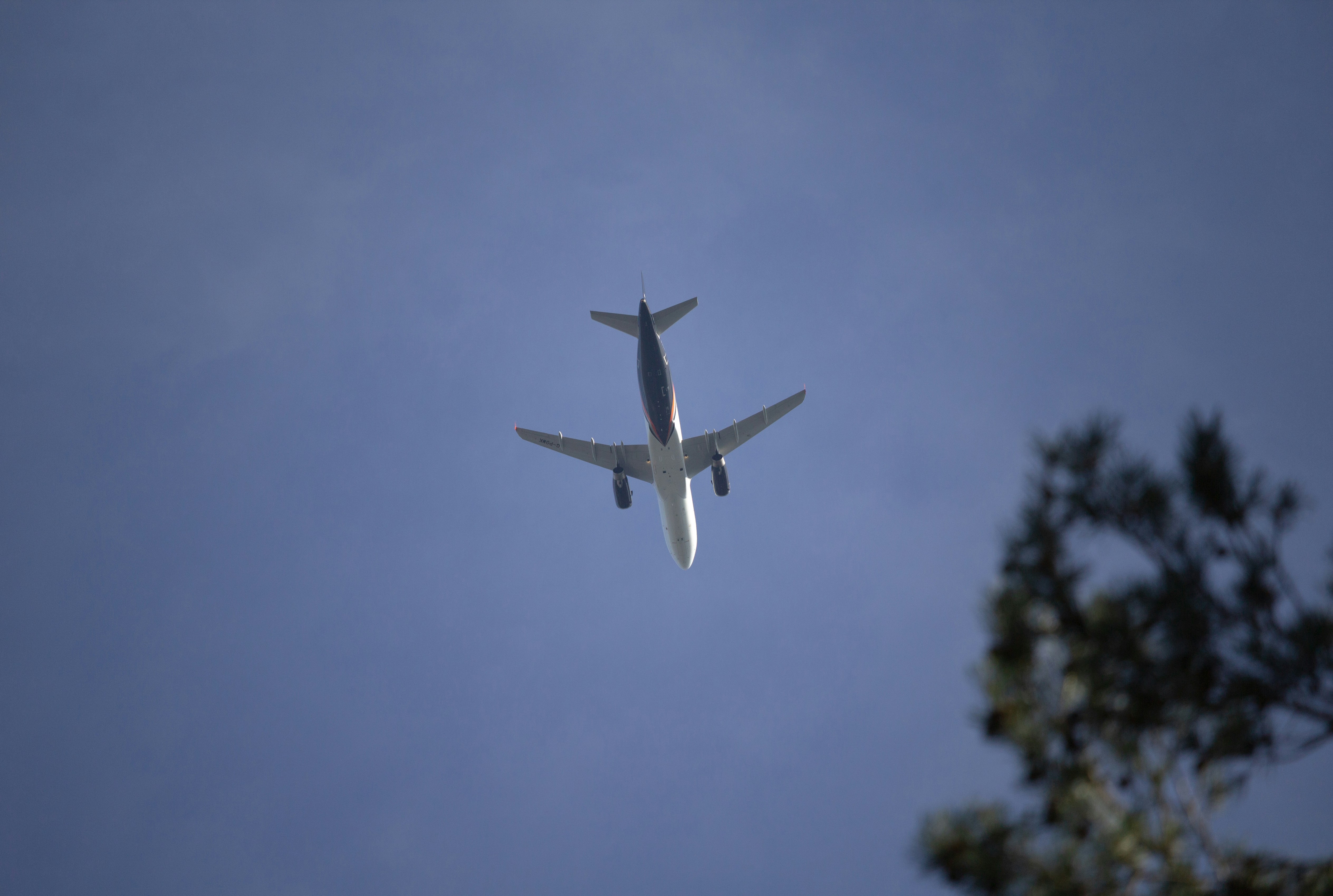 Airliner in a Clear Sky: Aerial silhouette above treeline