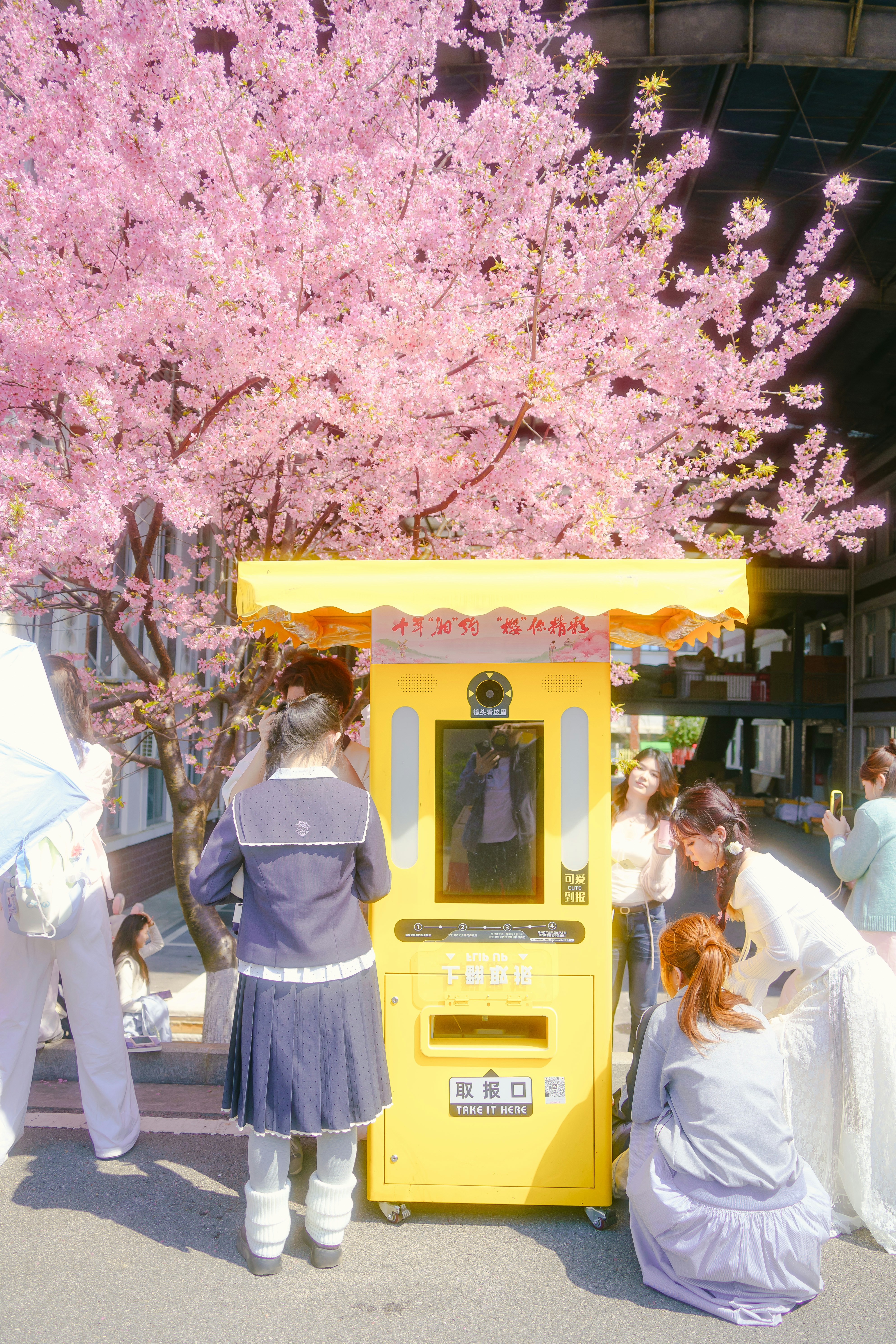 Yellow vending kiosk under cherry blossoms at a crowded outdoor scene