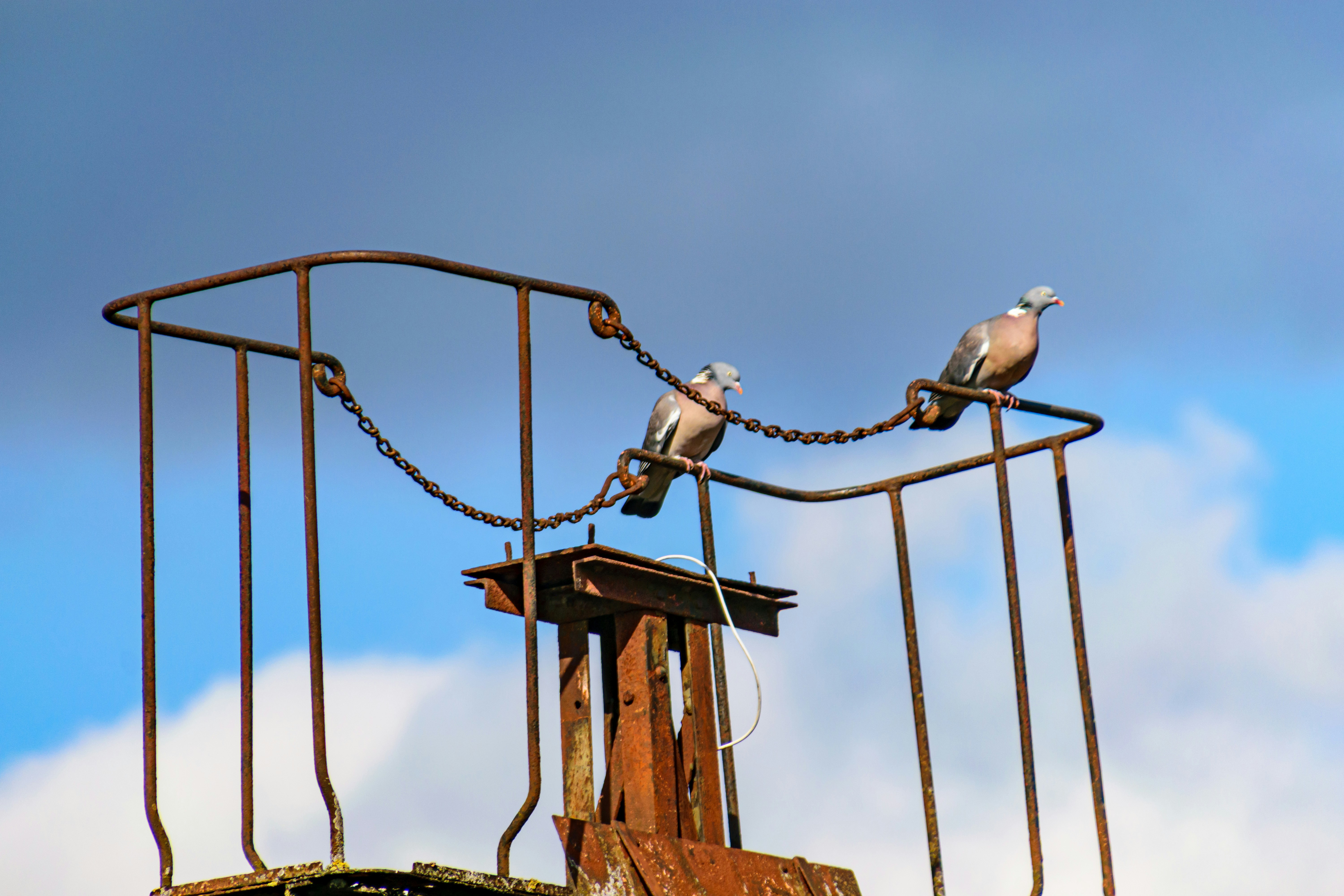 Two pigeons perched on rusted railing atop a weathered tower under a bright blue sky