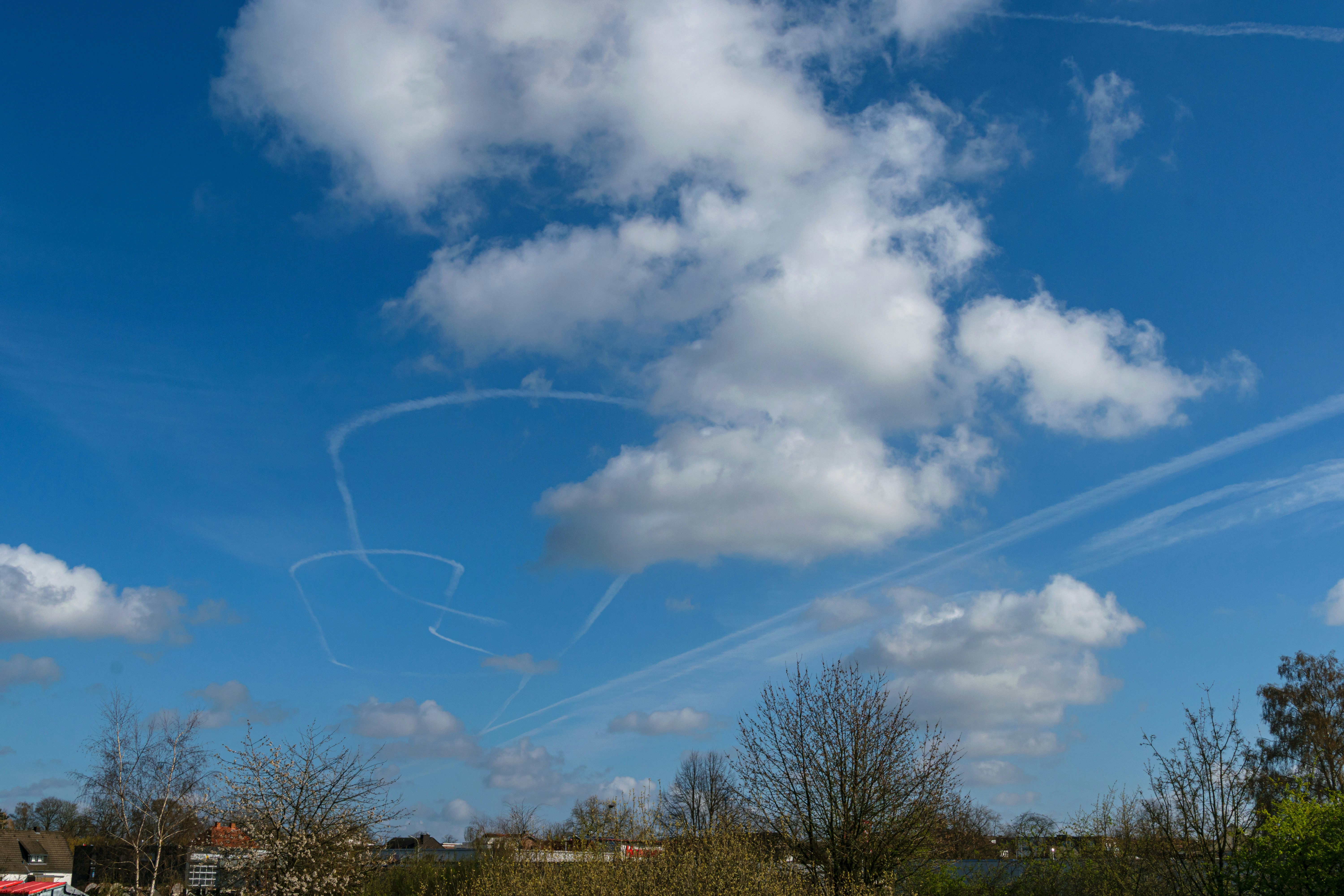 Contrails over a suburban treeline under a bright blue sky