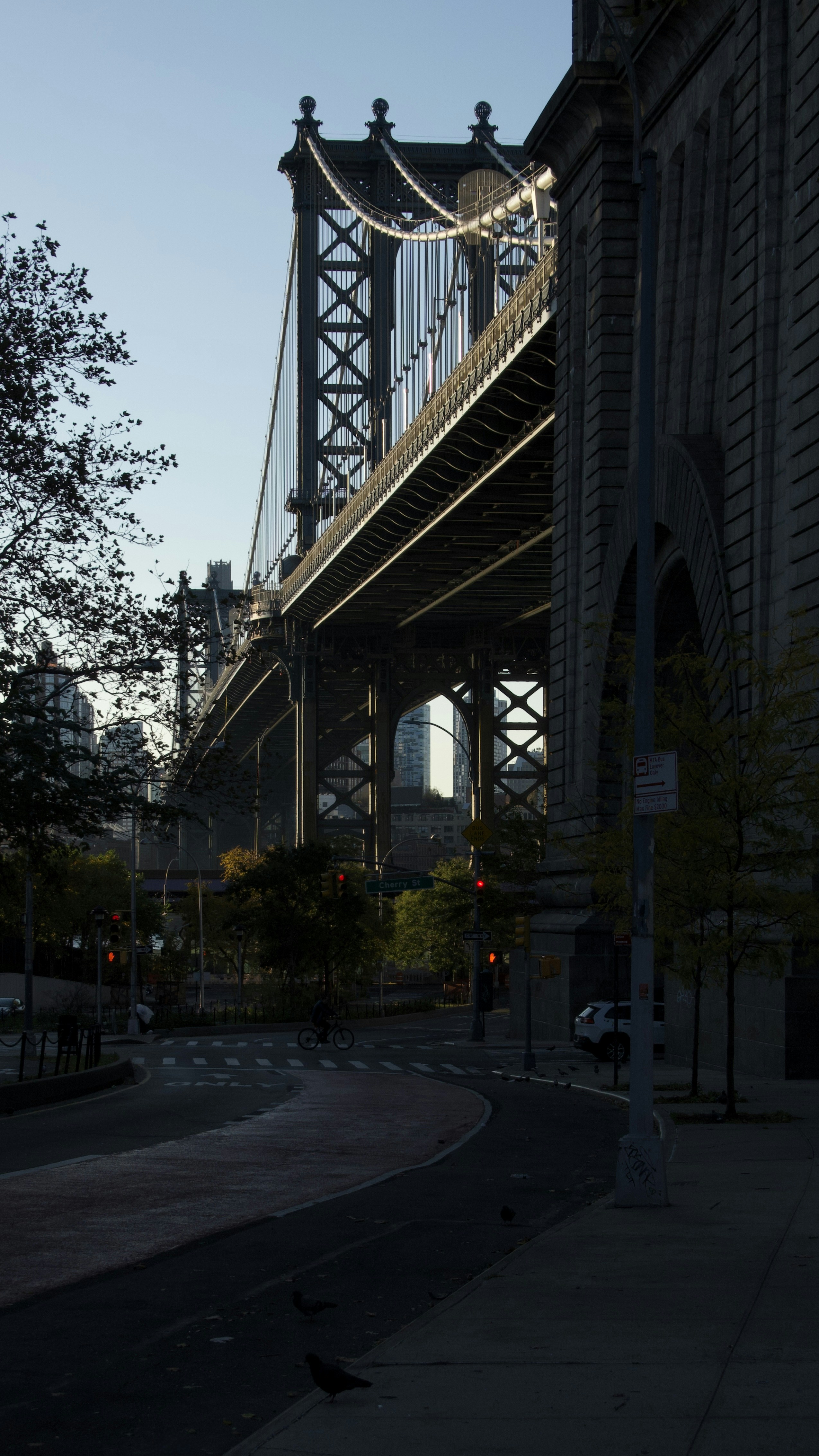 Descending Light: A Night-Wlooming Bridge Scene