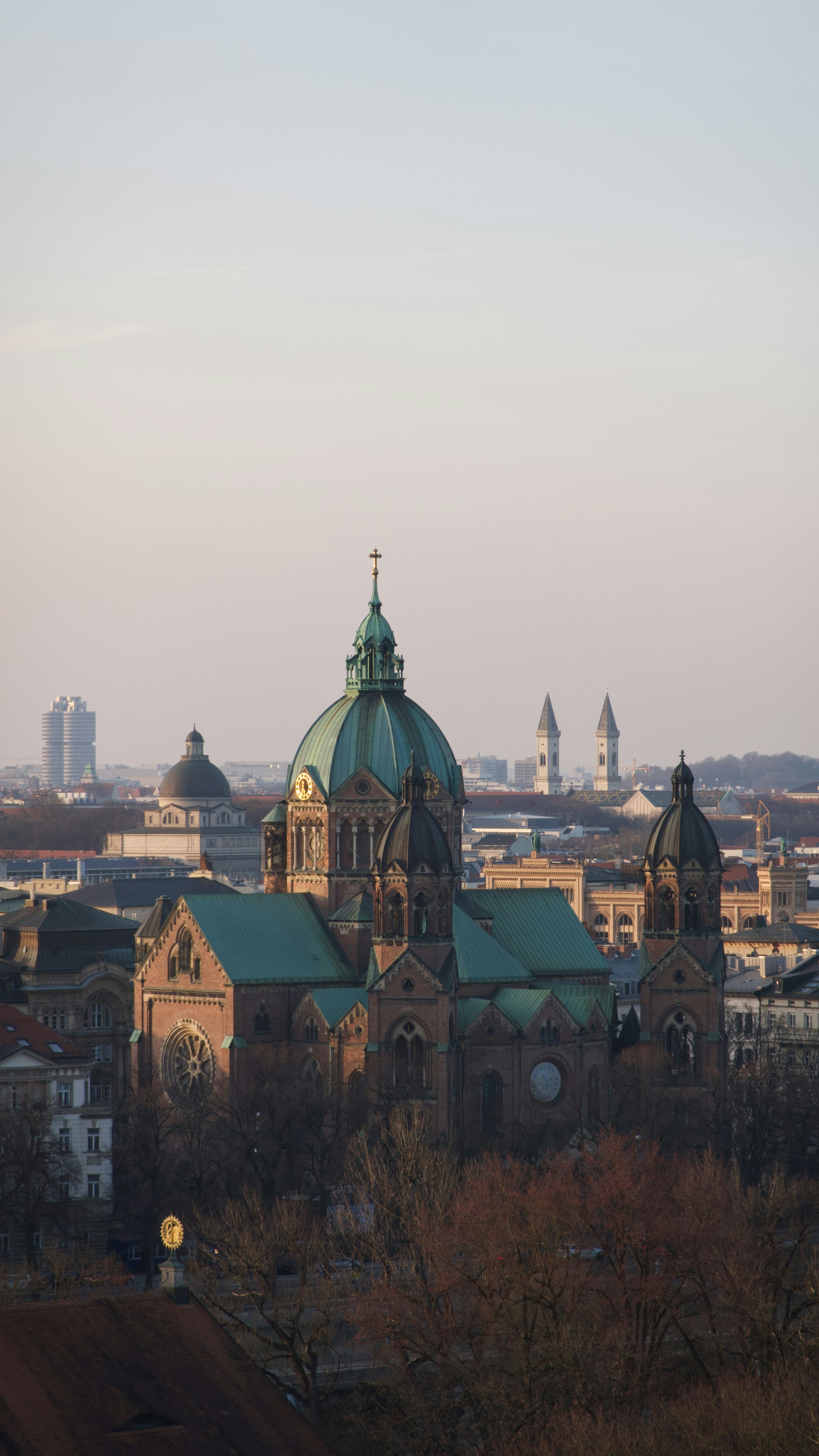 Domed Crown: A City Cathedral Rising Above Winter Trees