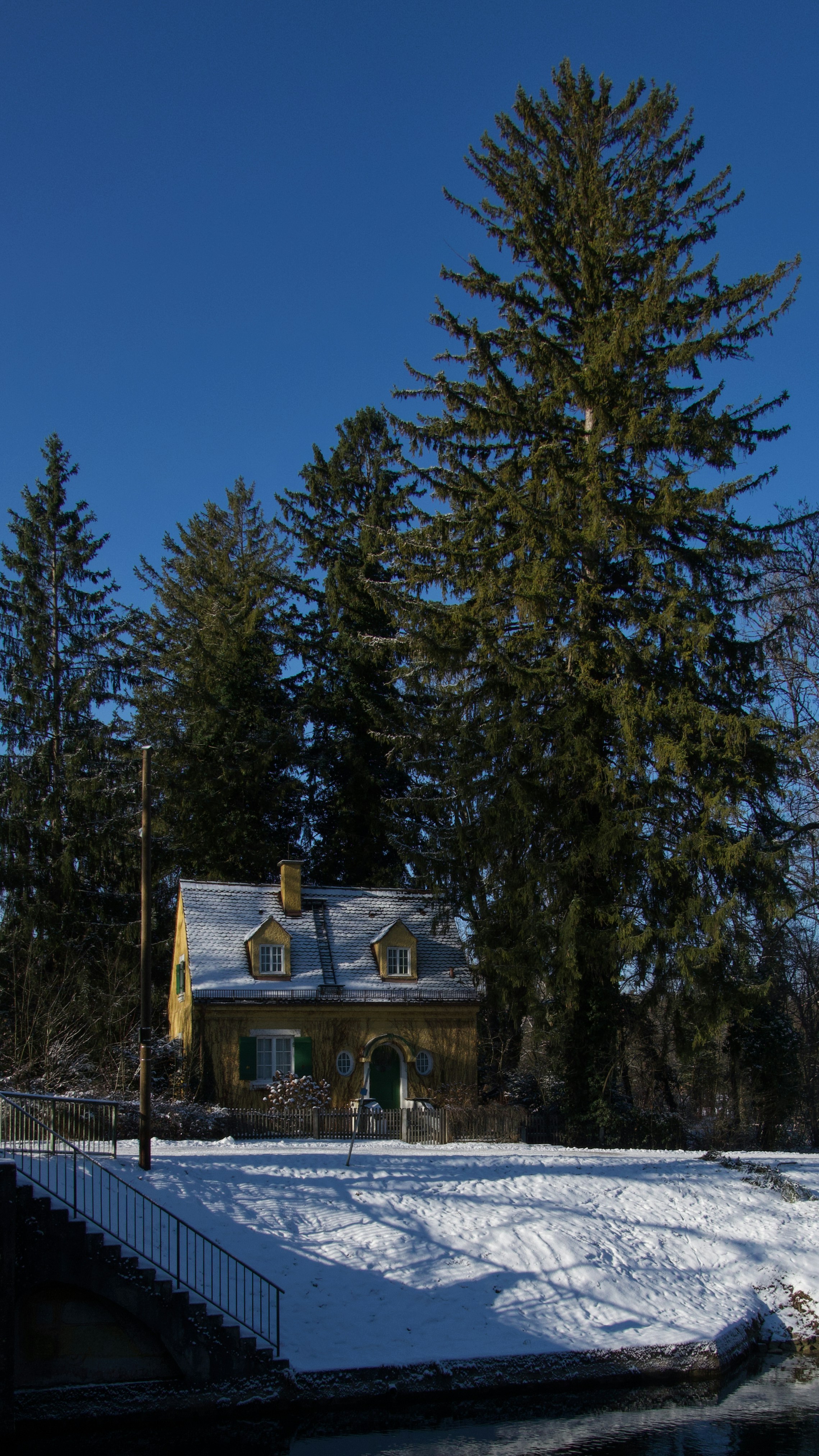 Snowbound Cottage Among Tall Pines on a Clear Winter Day