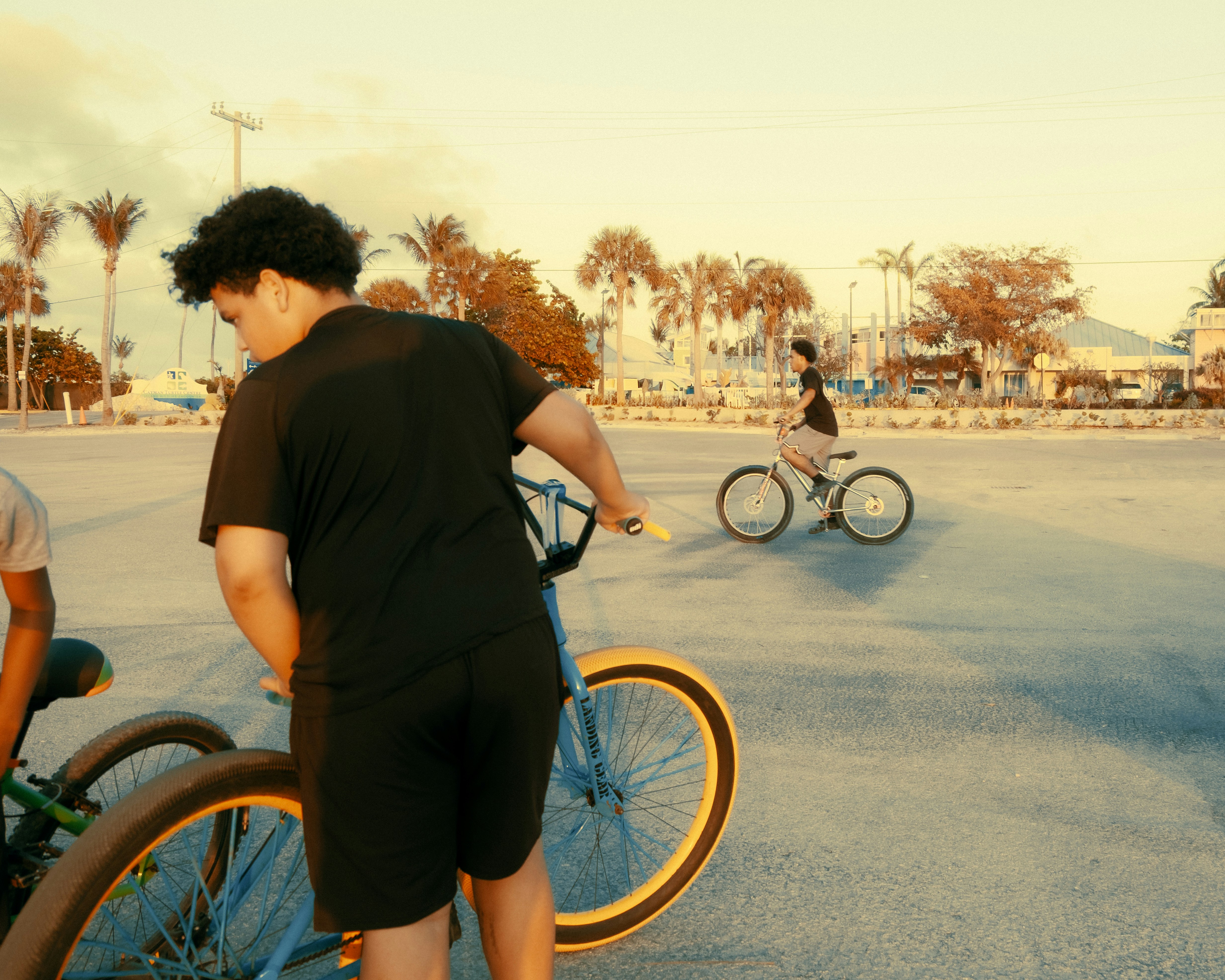 Riders at the Edge: In the Shade of a Coastal Park