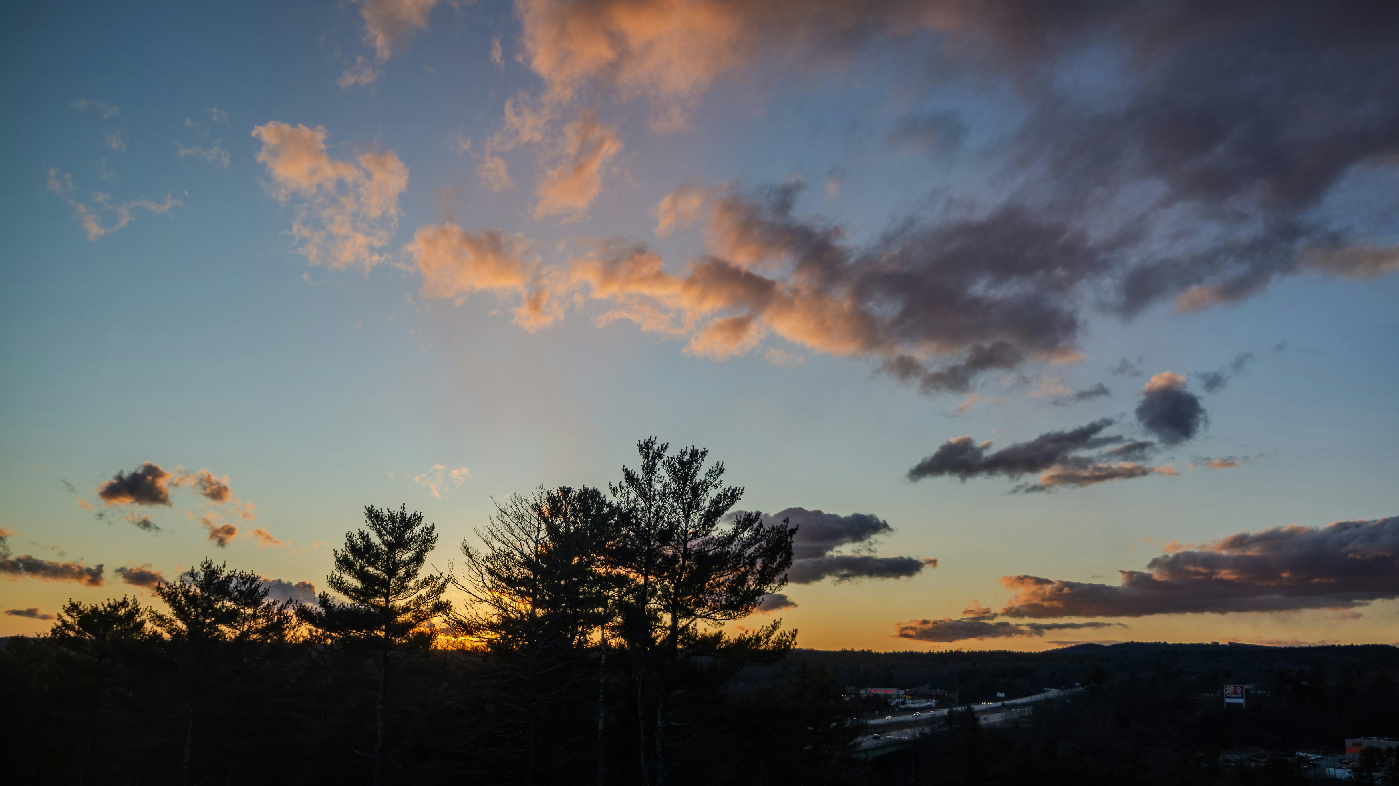 Twilight Skyline: Silhouetted Pines at the Edge of Dusk