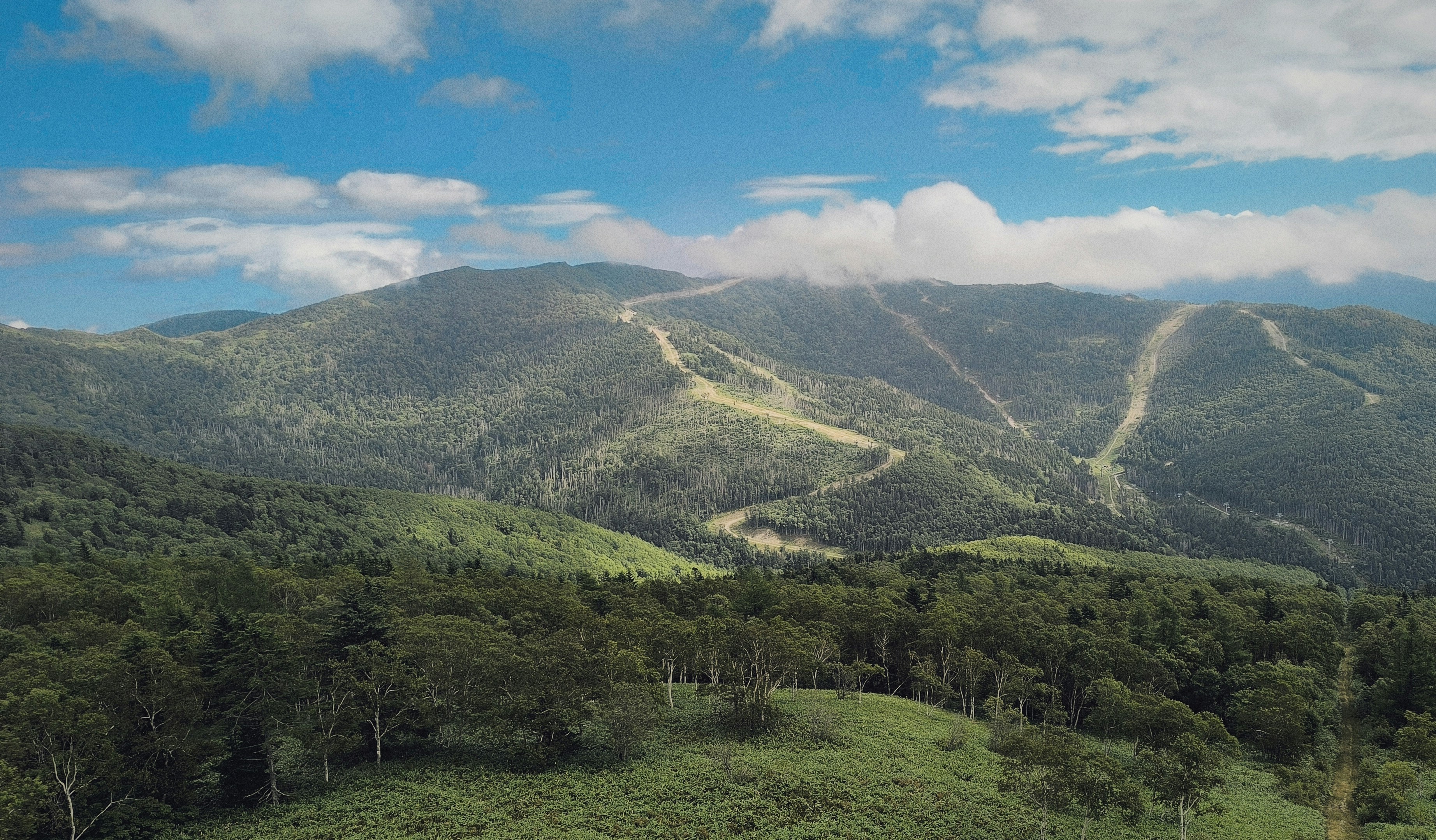 Meandering ridgeline threading through emerald hills