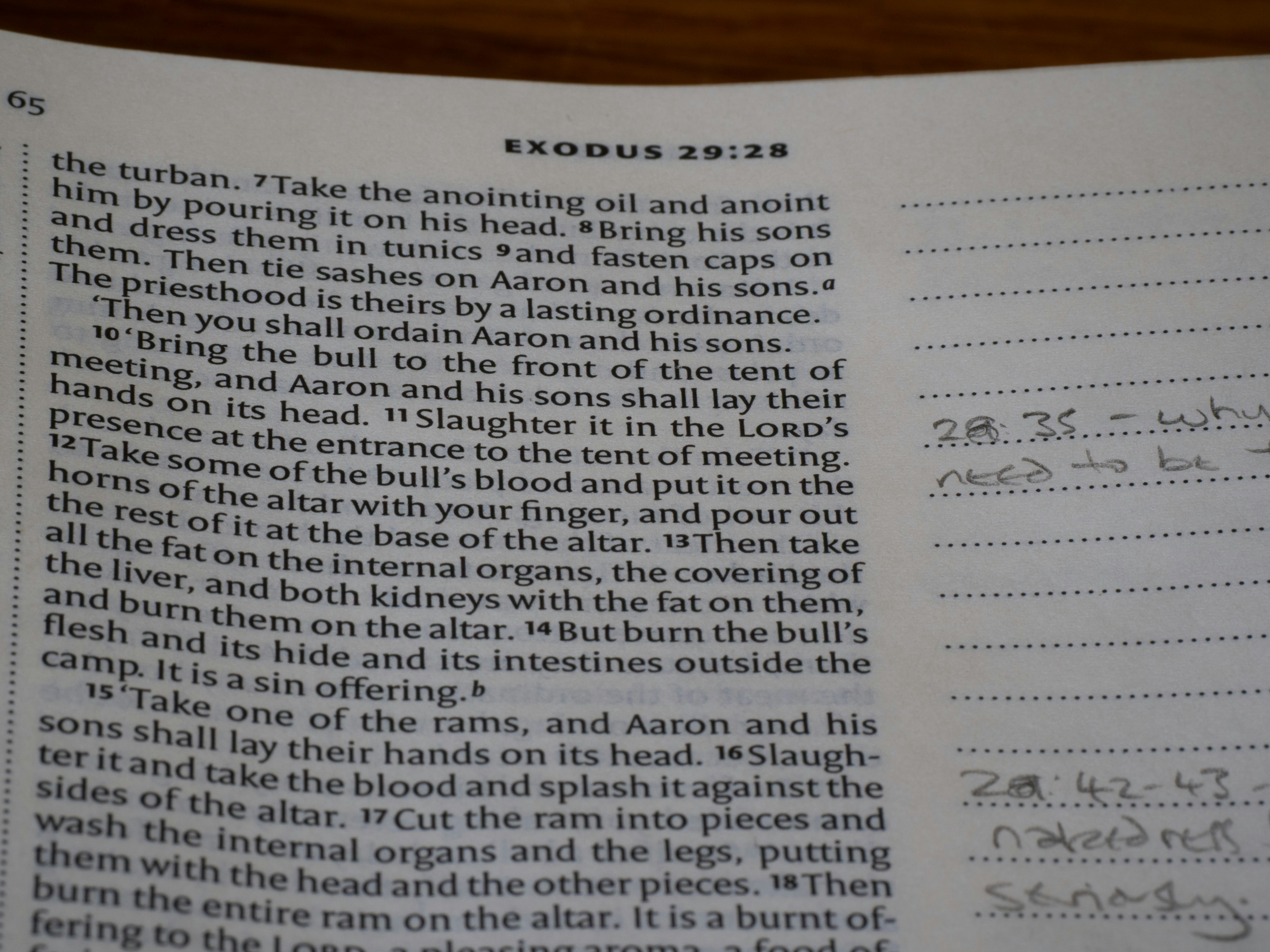 Echoes of the Altar: Manuscript Notes in a Quiet Corner